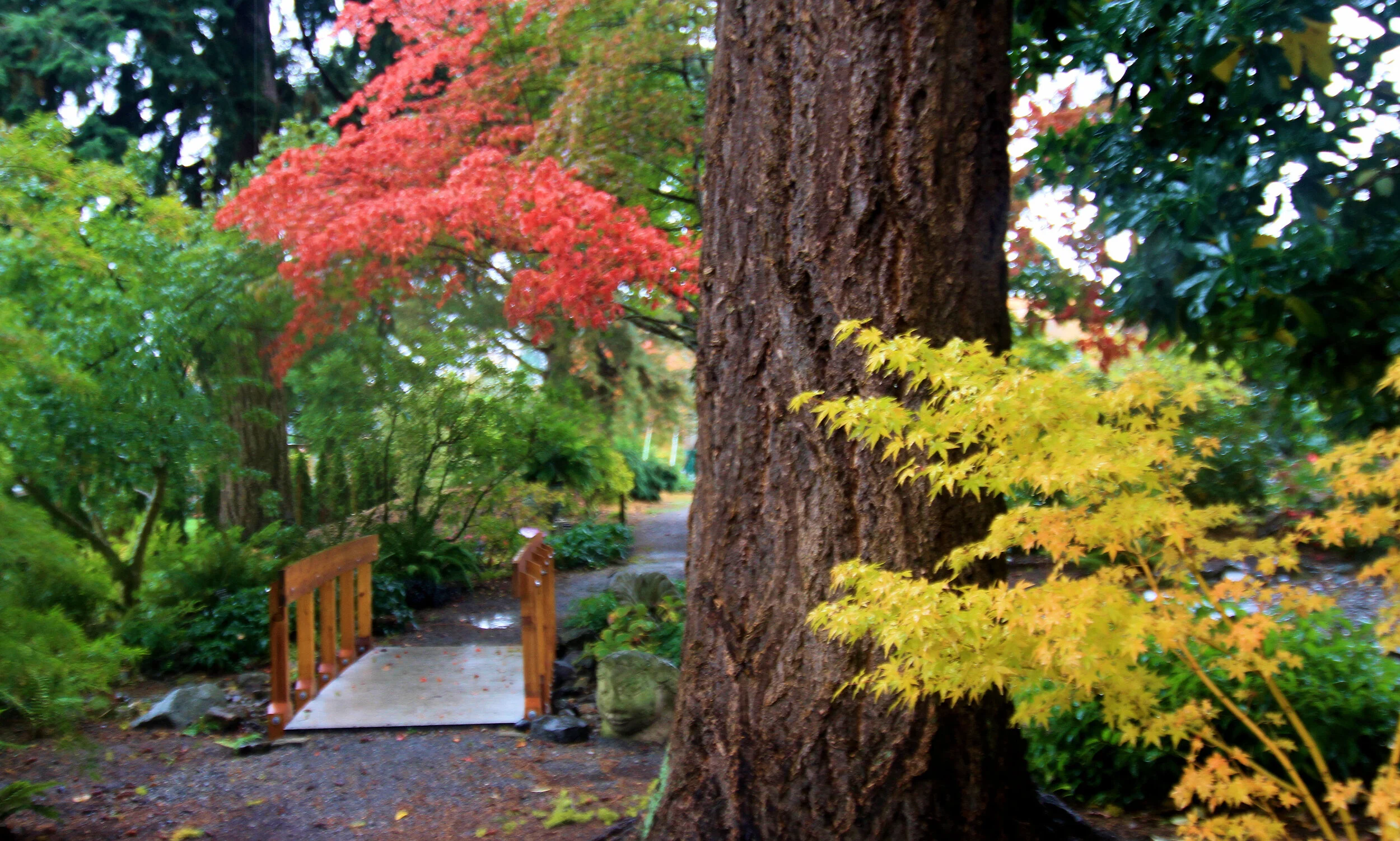 Evergreen Arboretum and Gardens