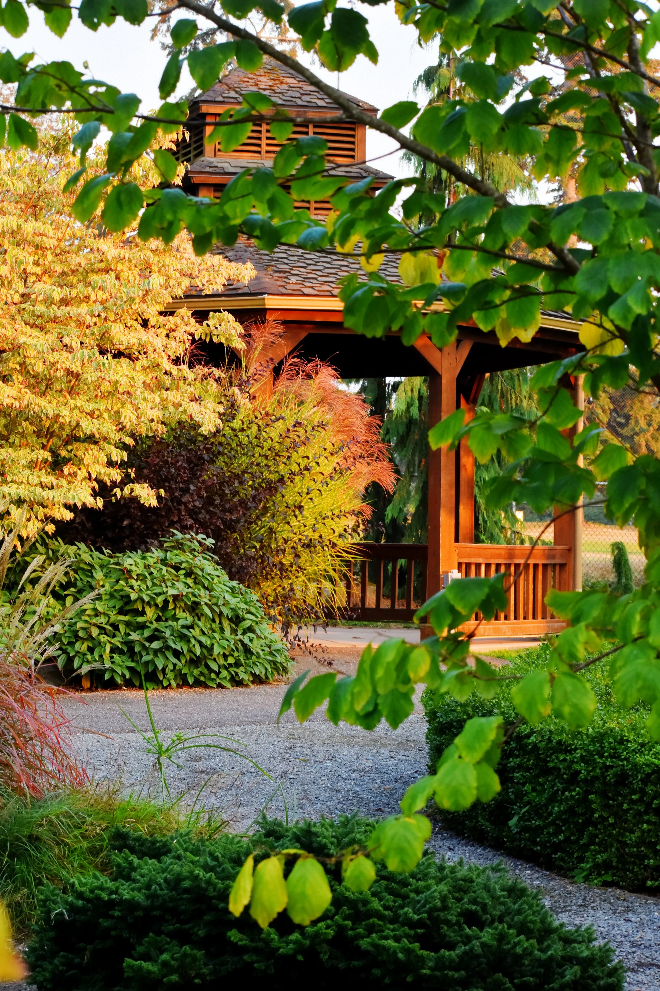 Evergreen Arboretum and Gardens