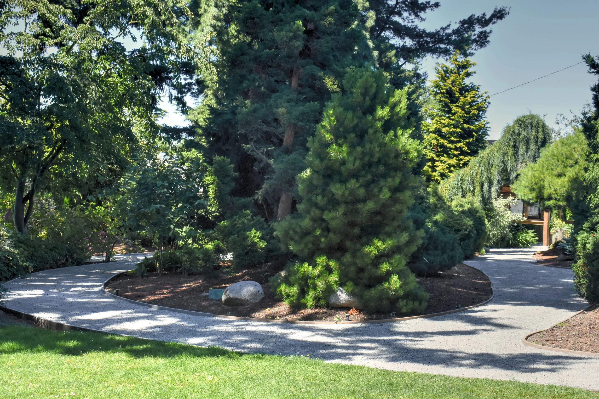 Evergreen Arboretum and Gardens