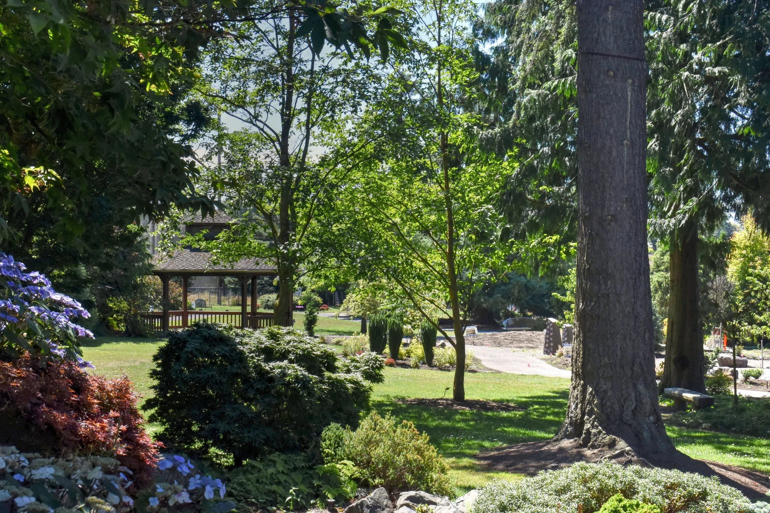 Evergreen Arboretum and Gardens