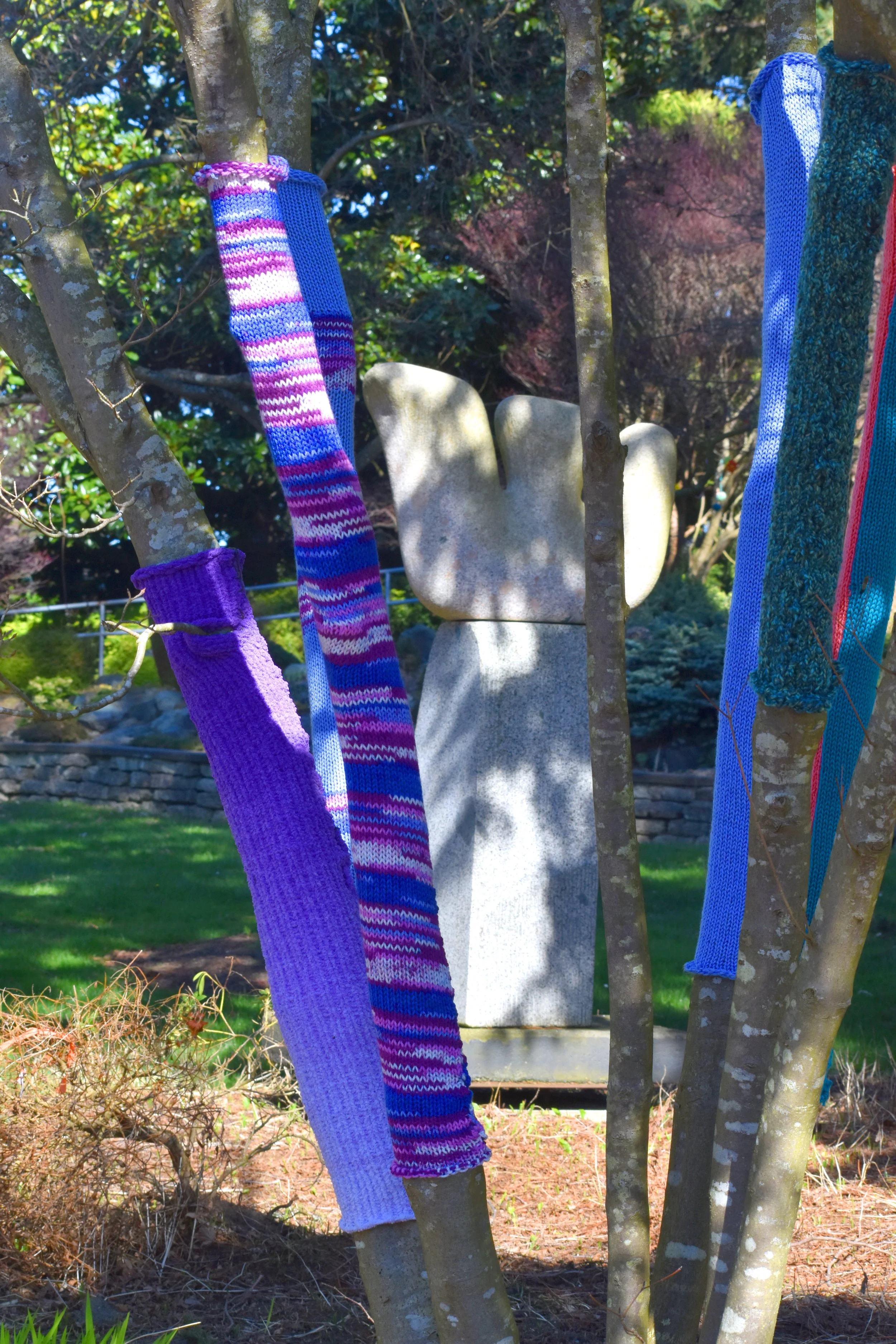 Evergreen Arboretum and Gardens