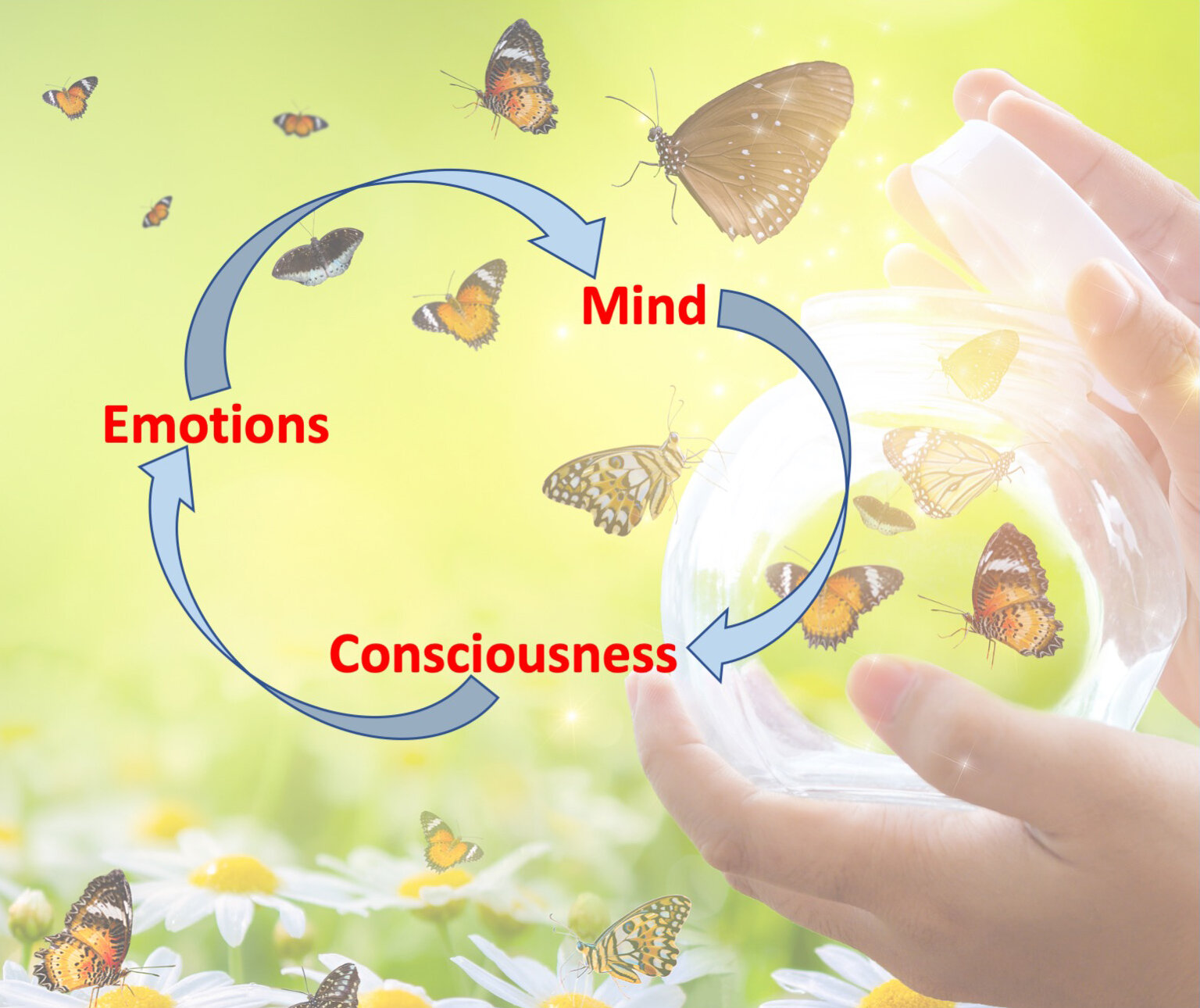 Emotions and the Pursuit of Peaceful Living — Parveen Jain