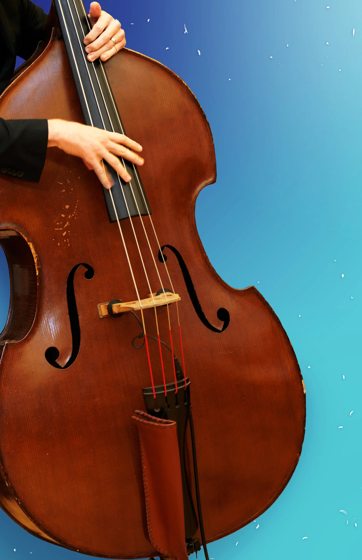 Chicago Bass Festival — Midwest Young Artists Conservatory