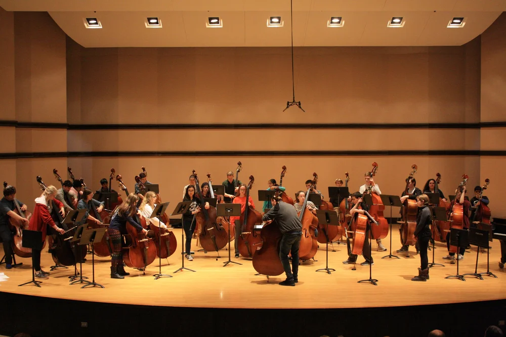 Chicago Bass Festival | Join, Learn, Celebrate Bass — Midwest Young ...