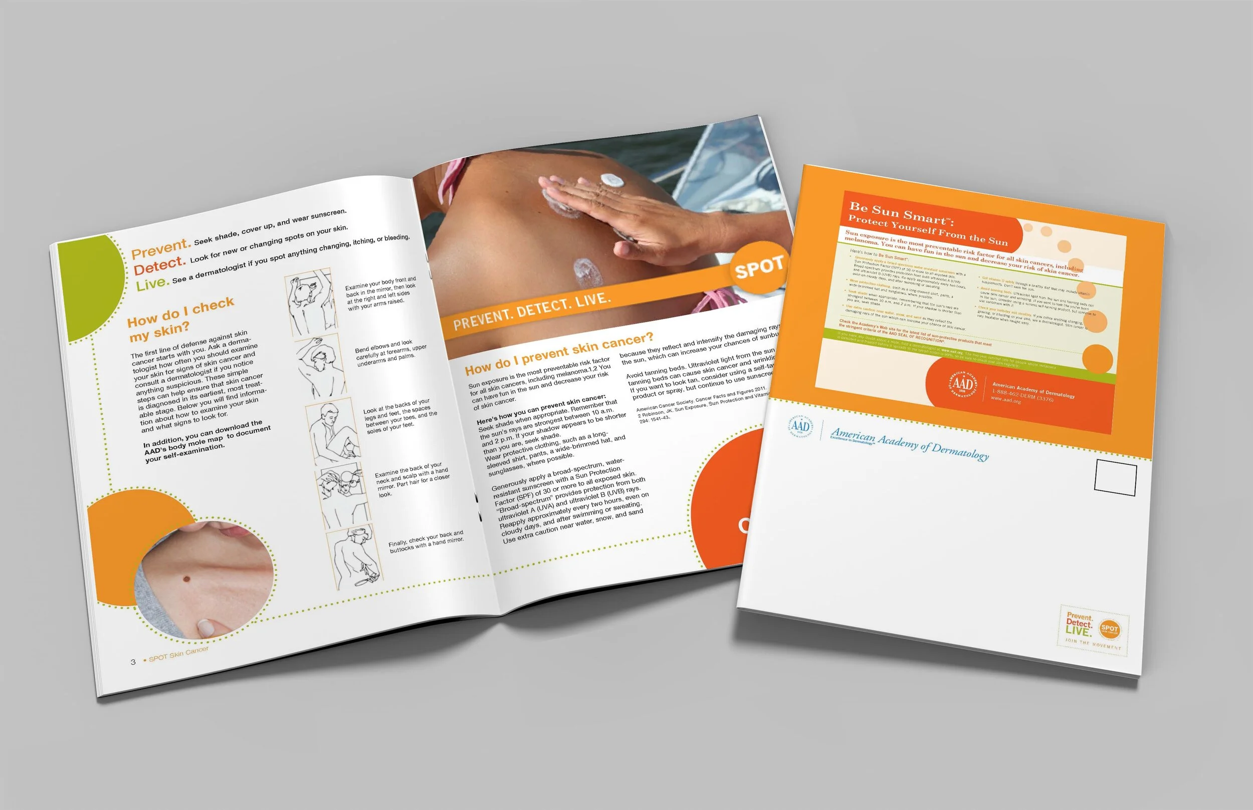 American Dermatology Brochure — CLAIR LICKFELD BANCROFT