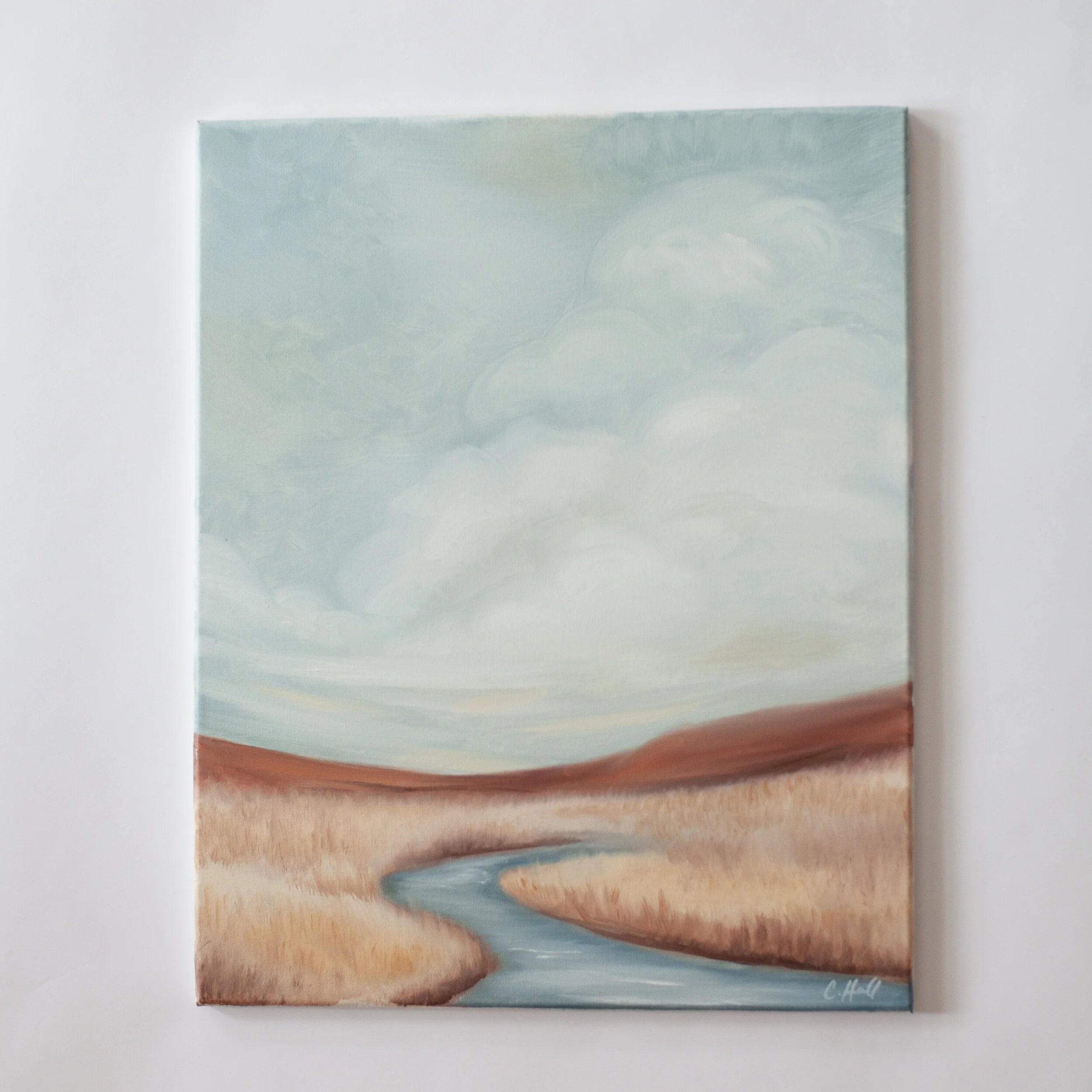 Shop — Carrie Ann Hall