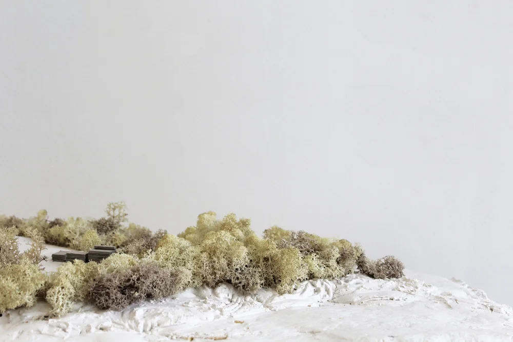 Benjamin Hale Architects Wales and United Kingdom