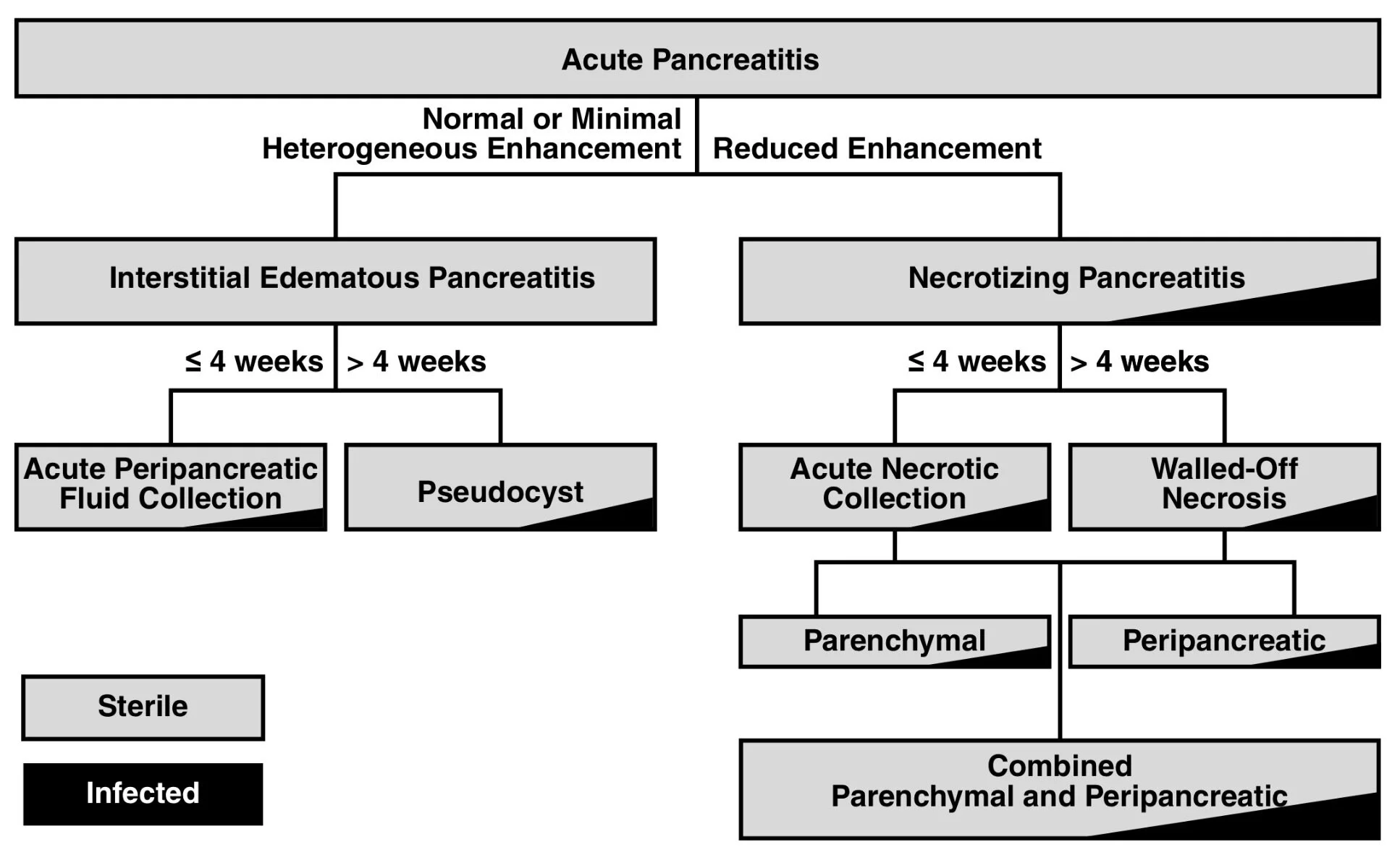 Classification Acute Pancreatitis — RadClarity