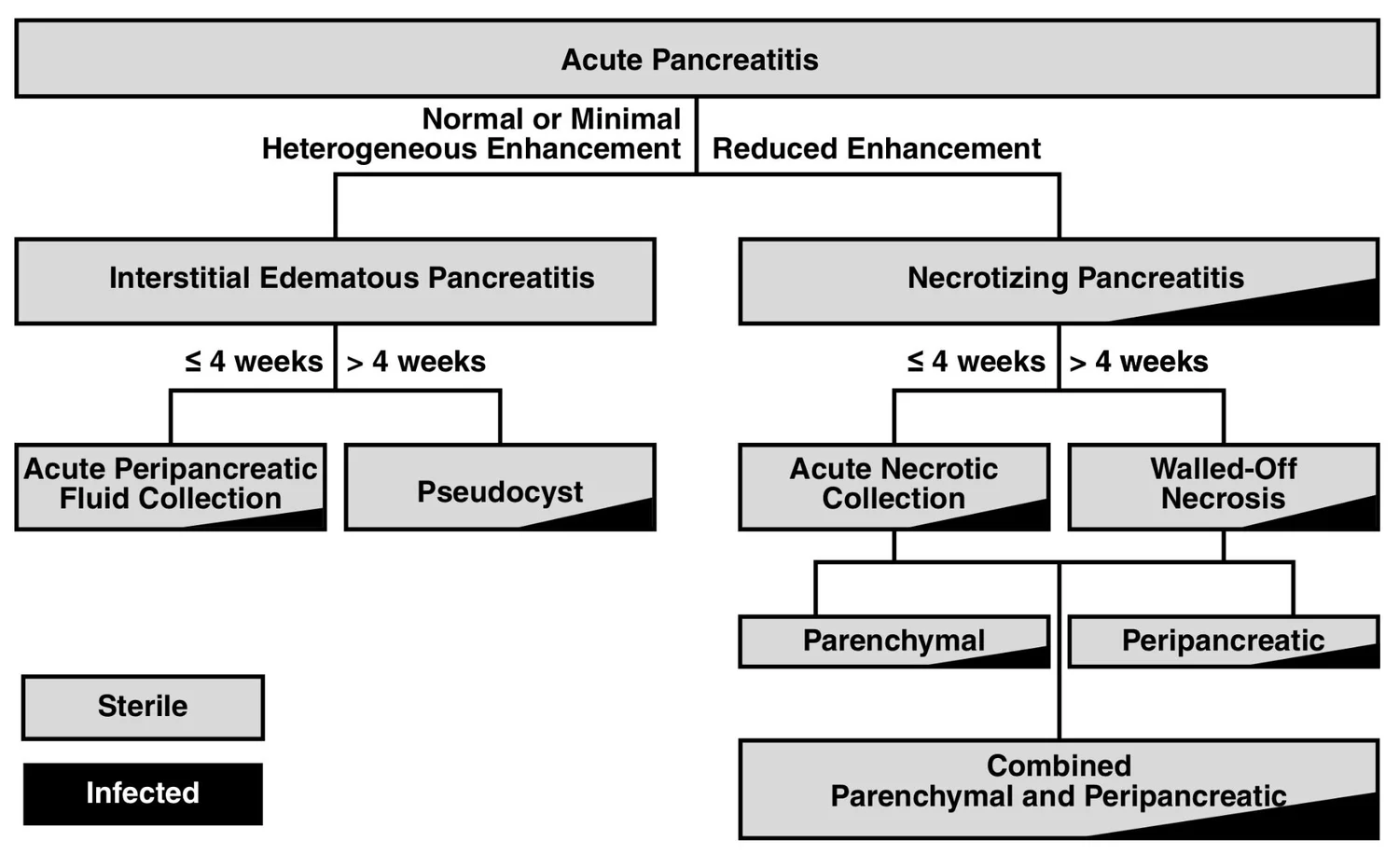 Classification Acute Pancreatitis — RadClarity