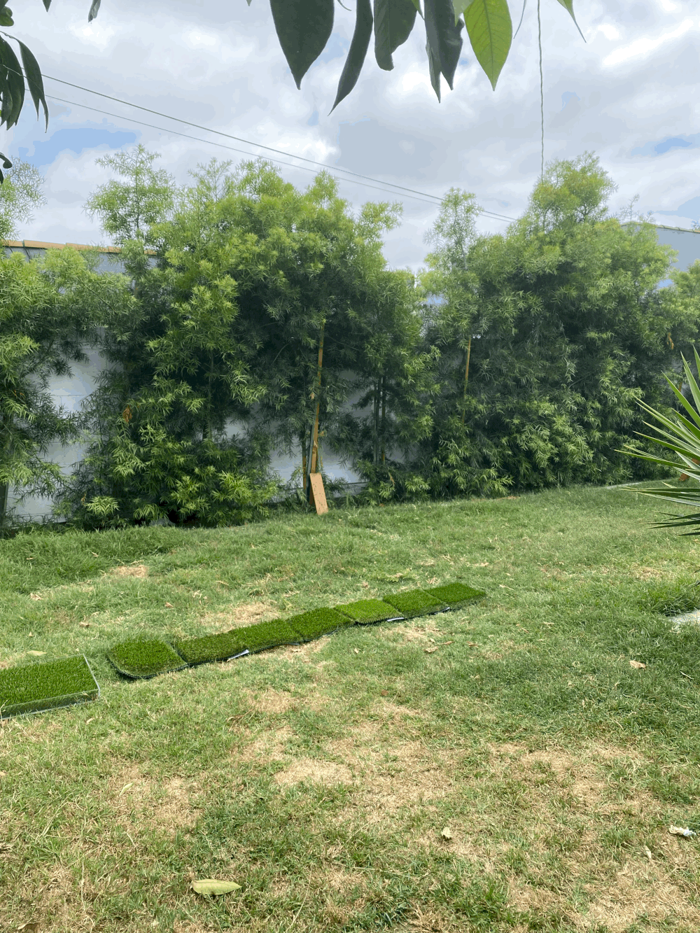 Bye Bye Weeds & Stickers: My Backyard Artificial Turf Reveal — Blanco ...