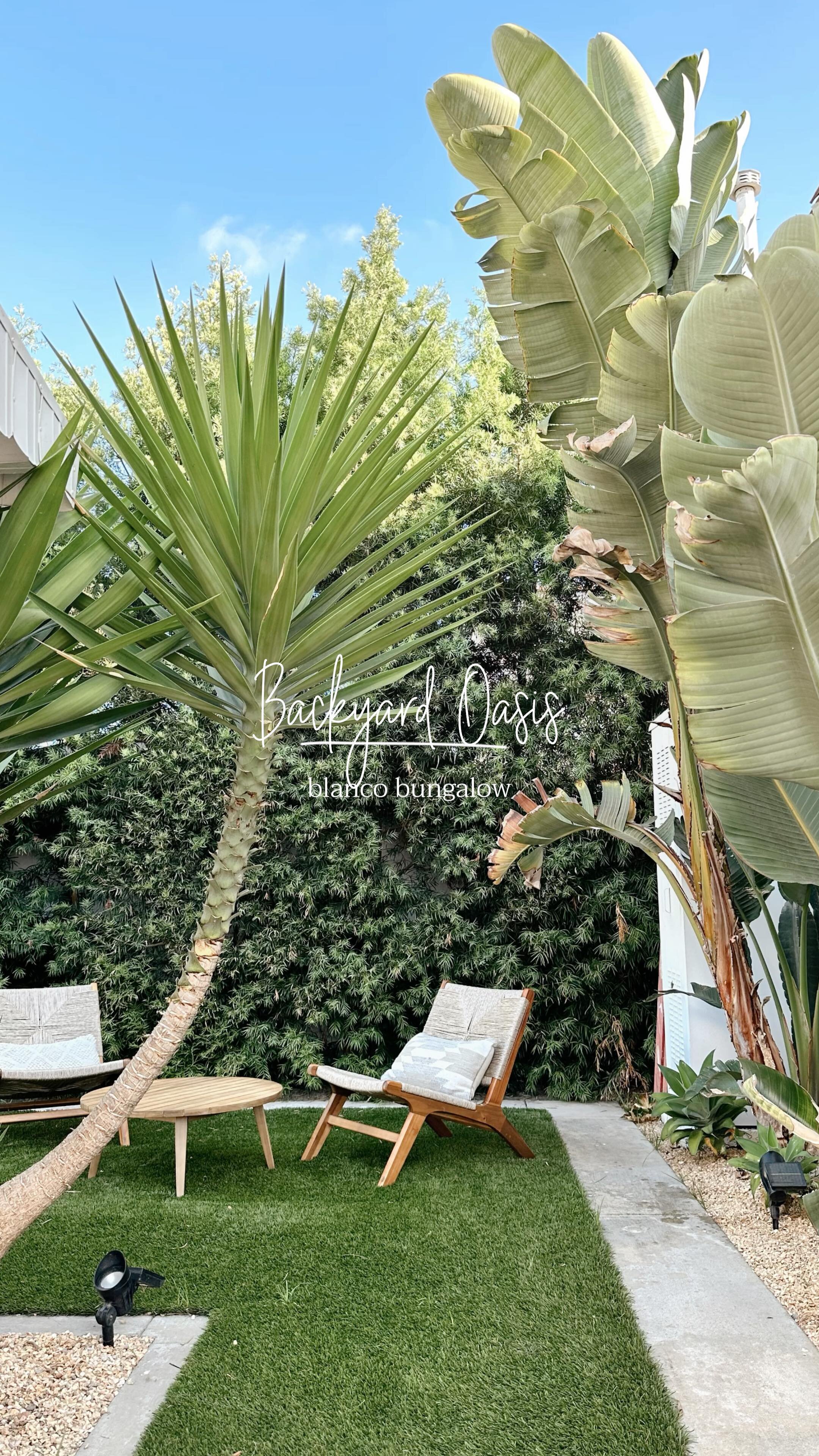 Blanco Bungalow - The Blanco Bungalow