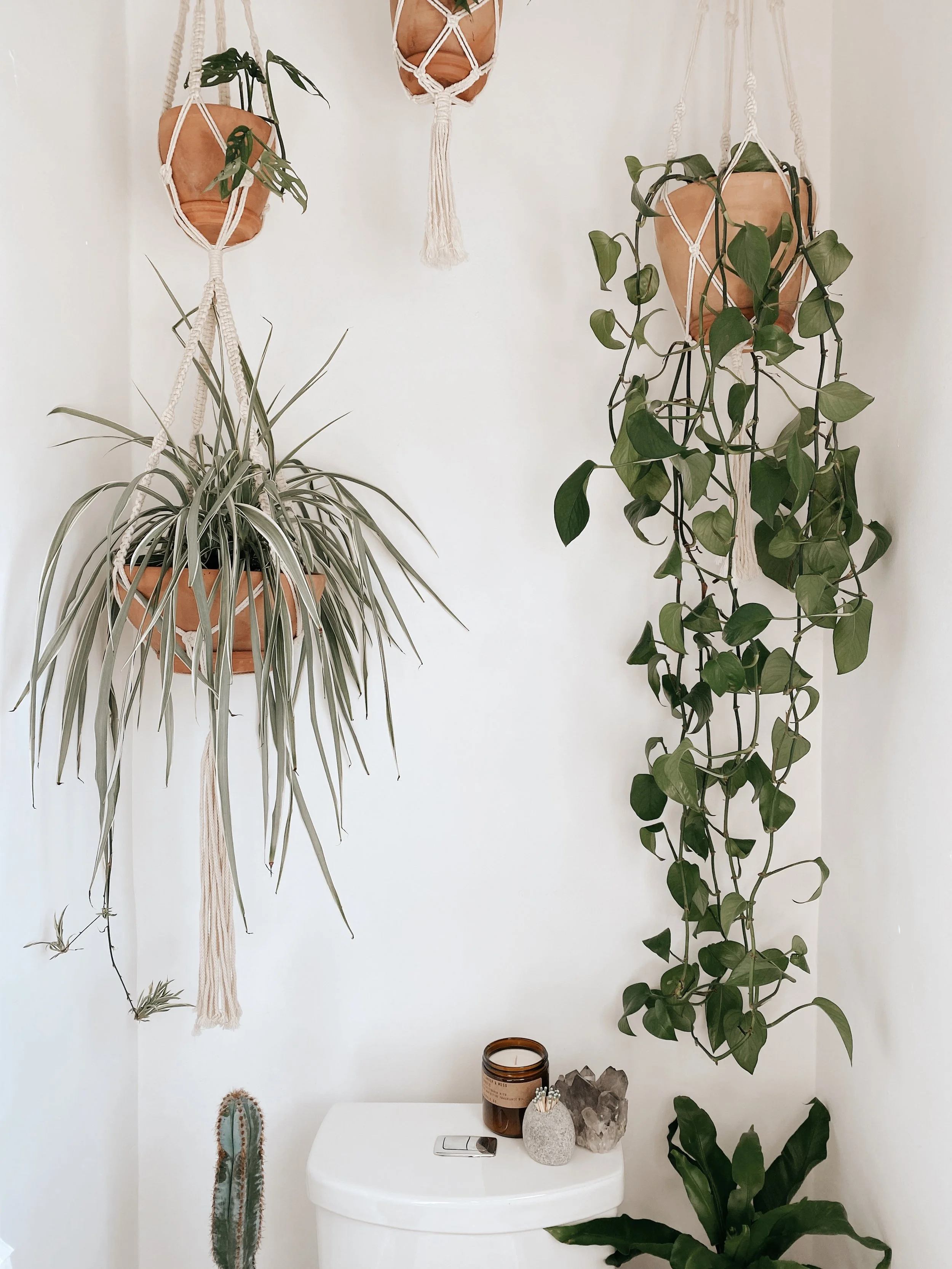 Blanco Bungalow - The Blanco Bungalow