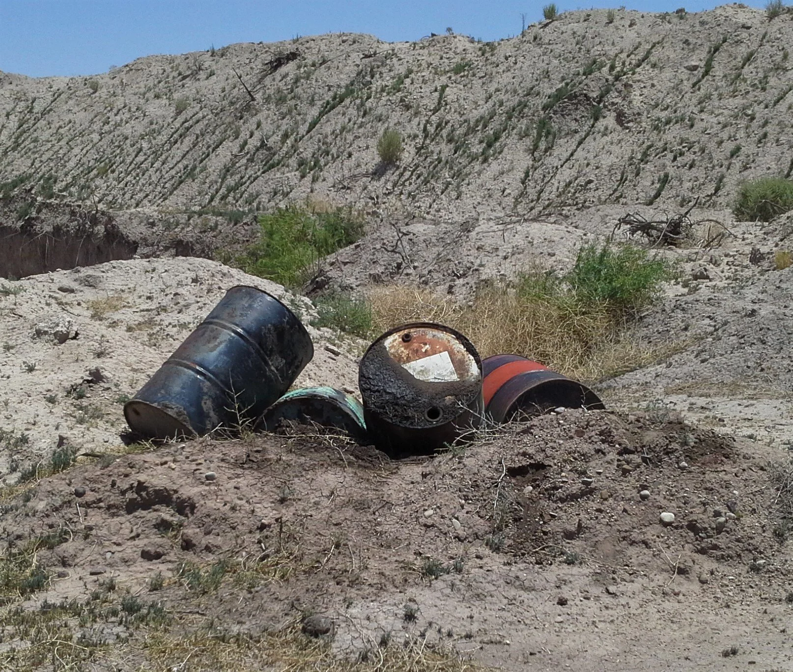 Environmental — Westward