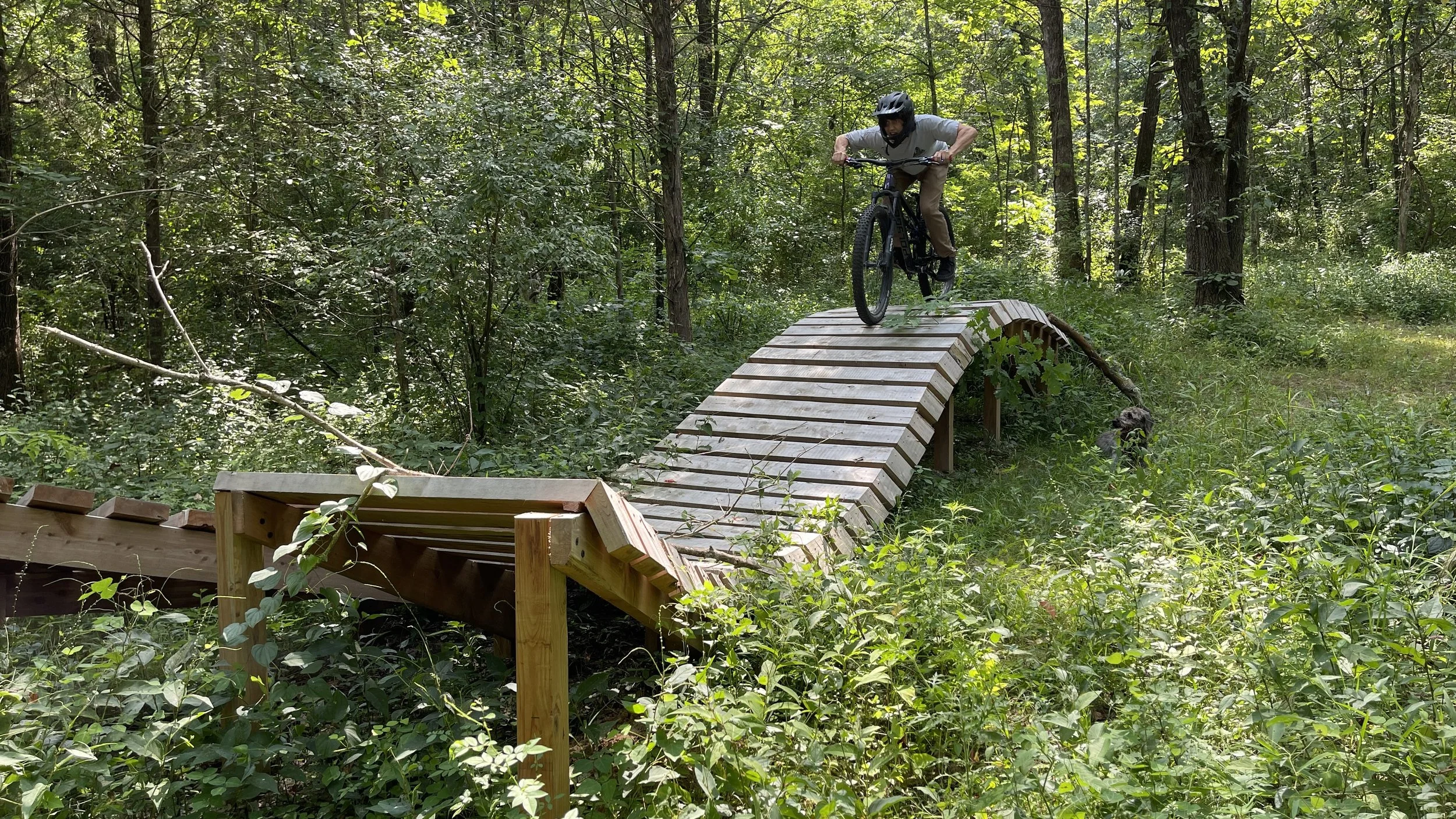 Gallery — Backyard Trail Builds