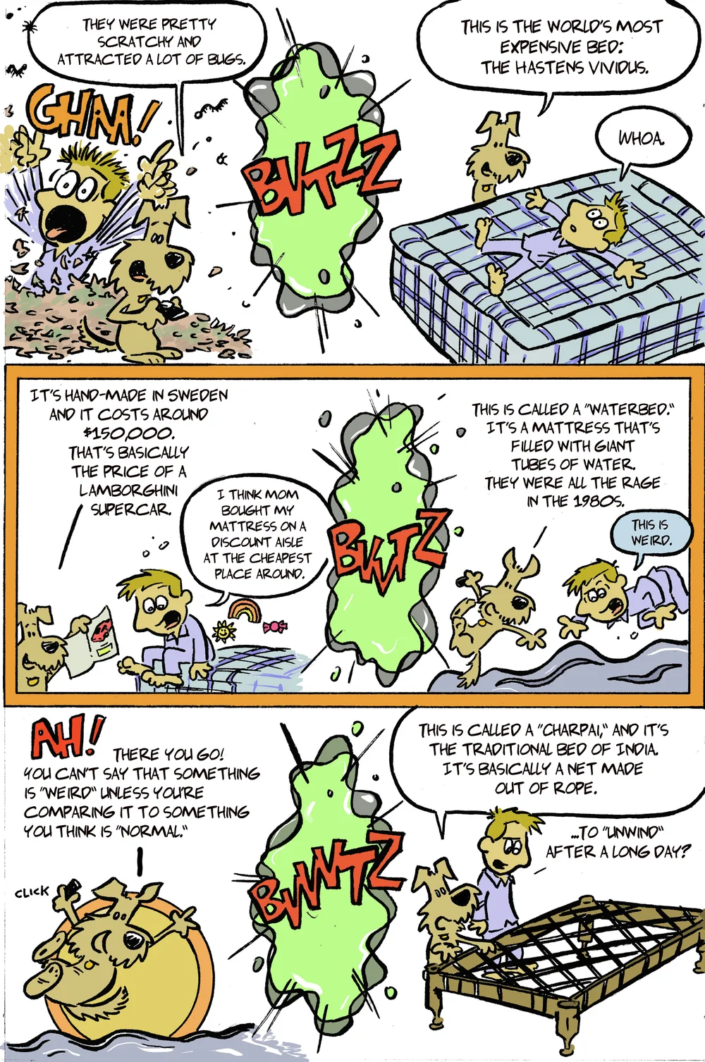 Why Social Studies Matters — Zeke's Guide to History and the Humanities