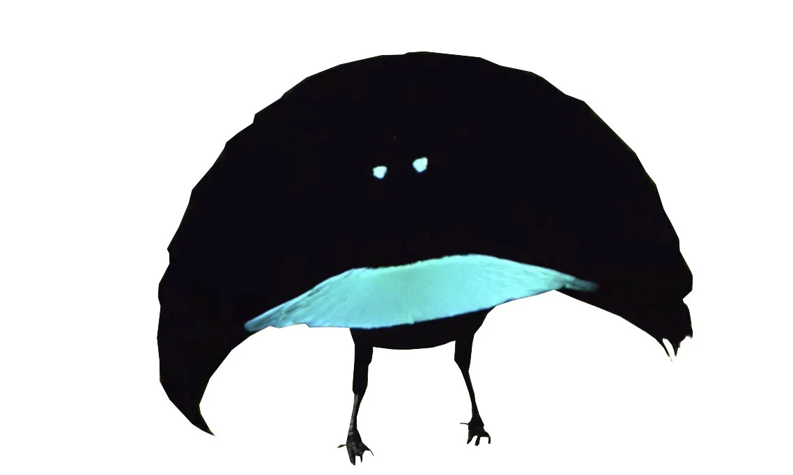 Stories — BASILE STUDIO