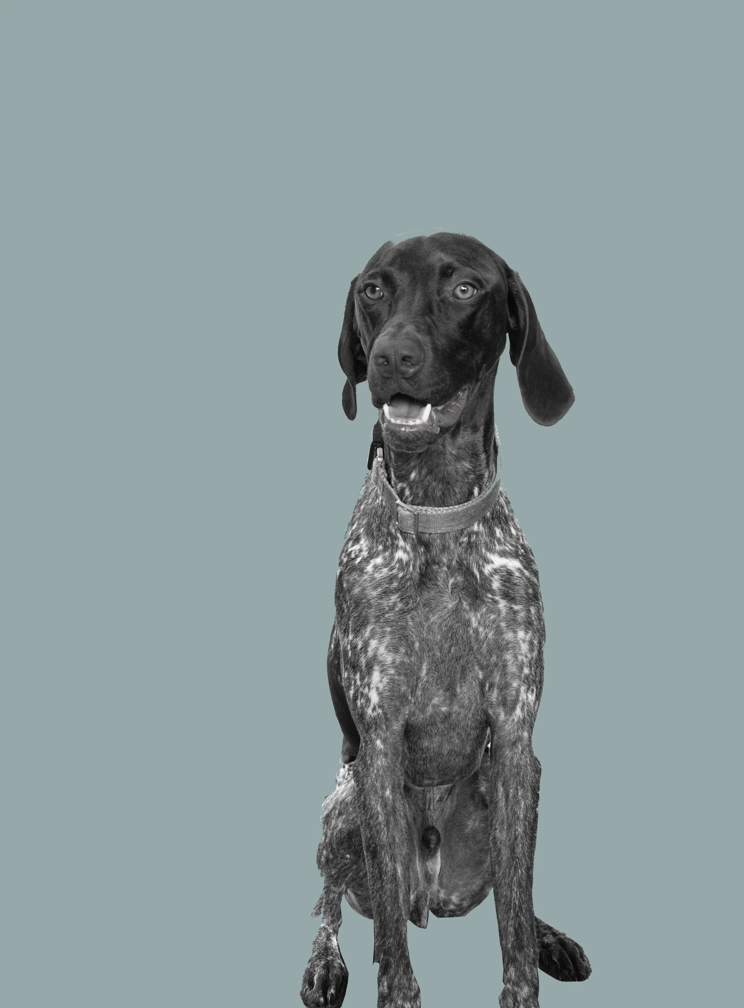 About — BASILE STUDIO