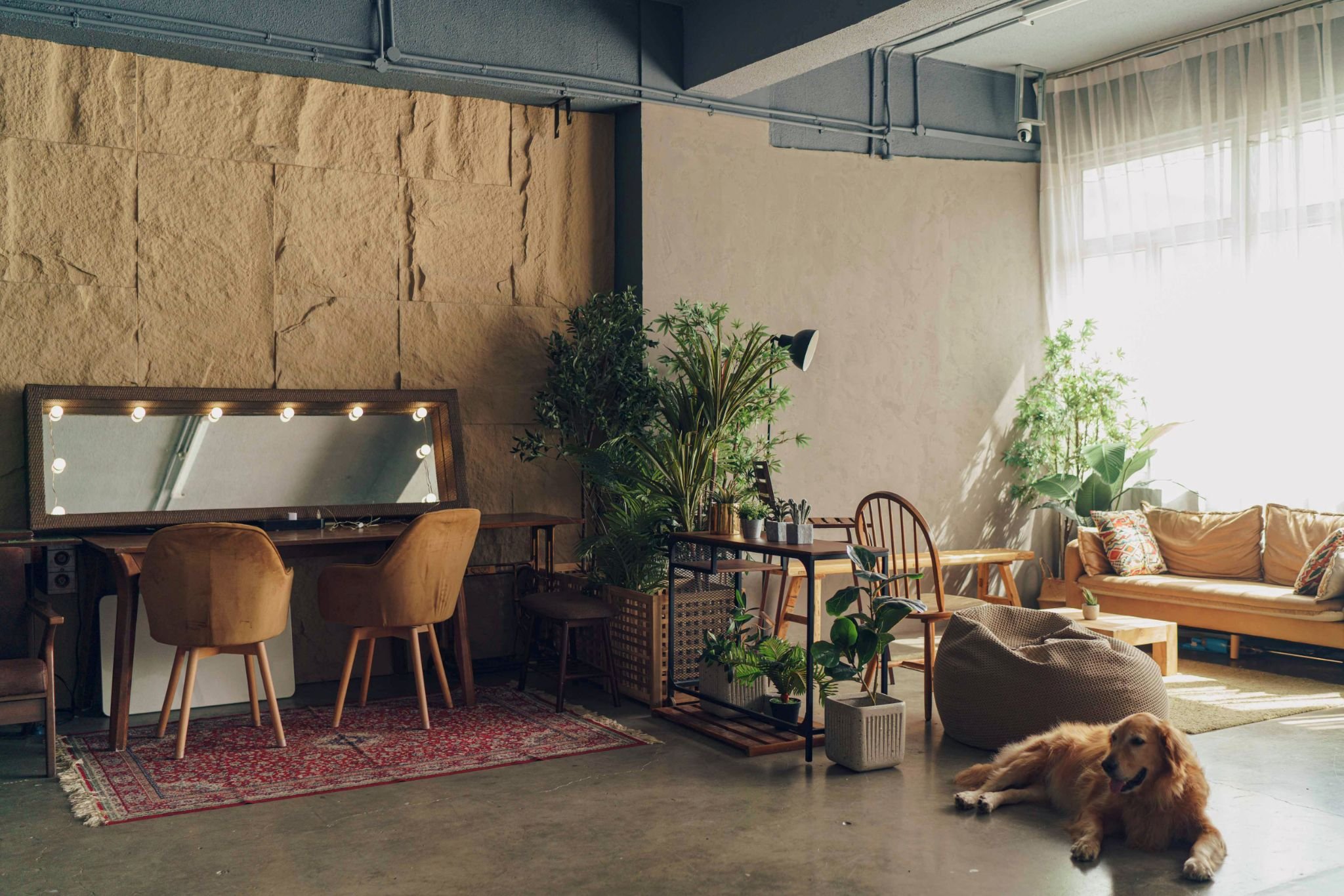 FALLOW & LIGHT PHOTOGRAPHY STUDIO