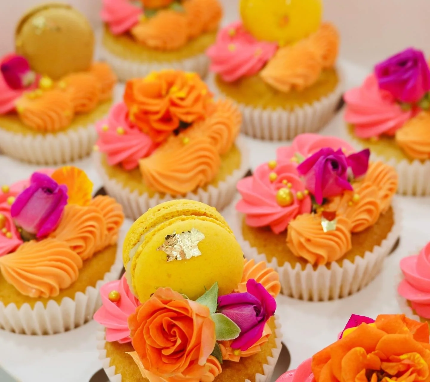 Mini Cupcakes Box | Multiple Colours | Em Cakes