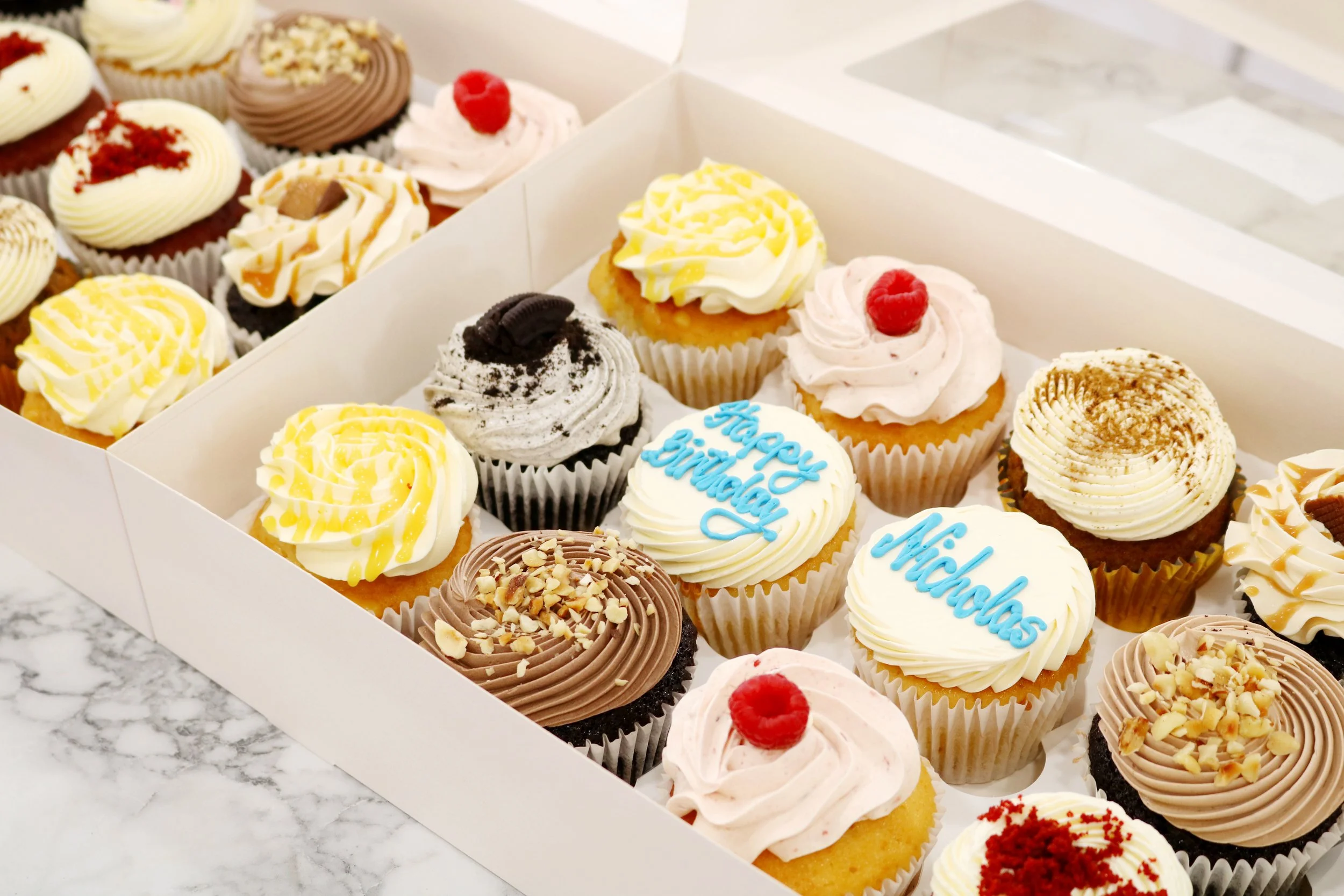 Mini Cupcakes Box | Multiple Colours | Em Cakes