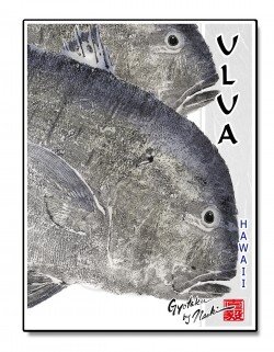 Ulua