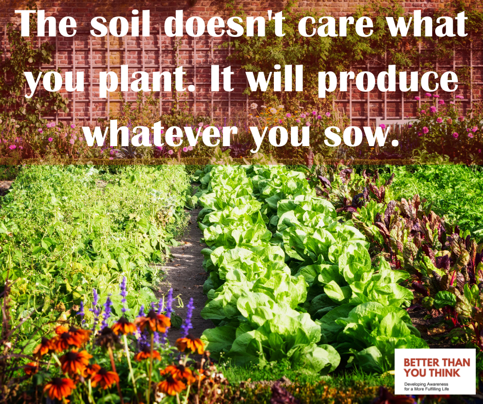 How to Be More Positive: Planting and Harvesting the Seeds in Your Mind ...