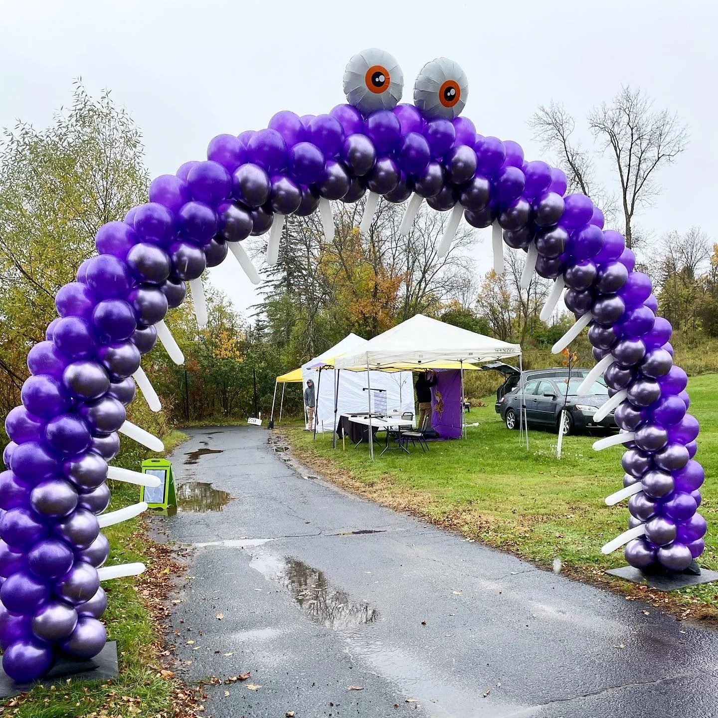 Classic Balloon Arch — Lauralloons