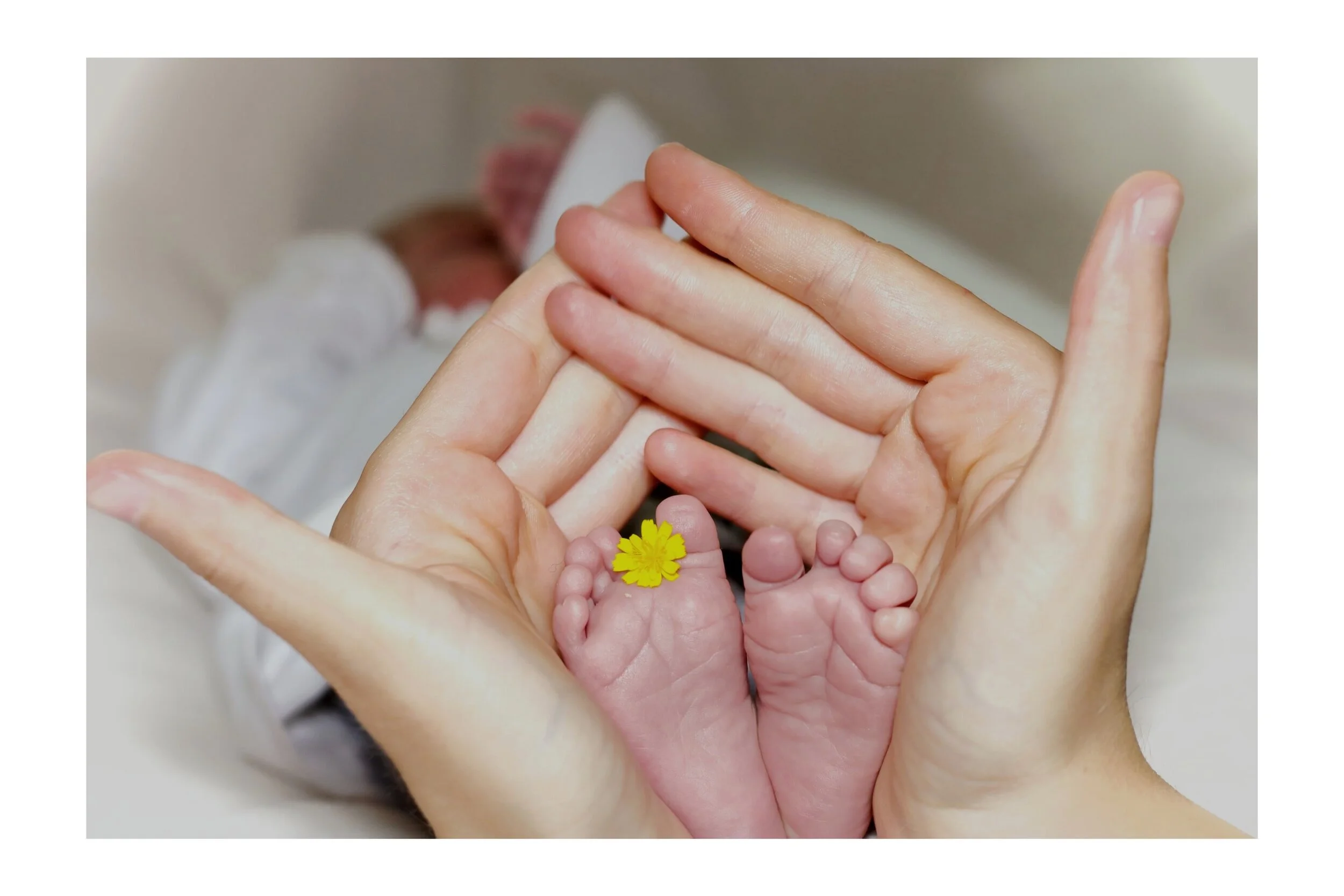 Pro-Life Flag Project