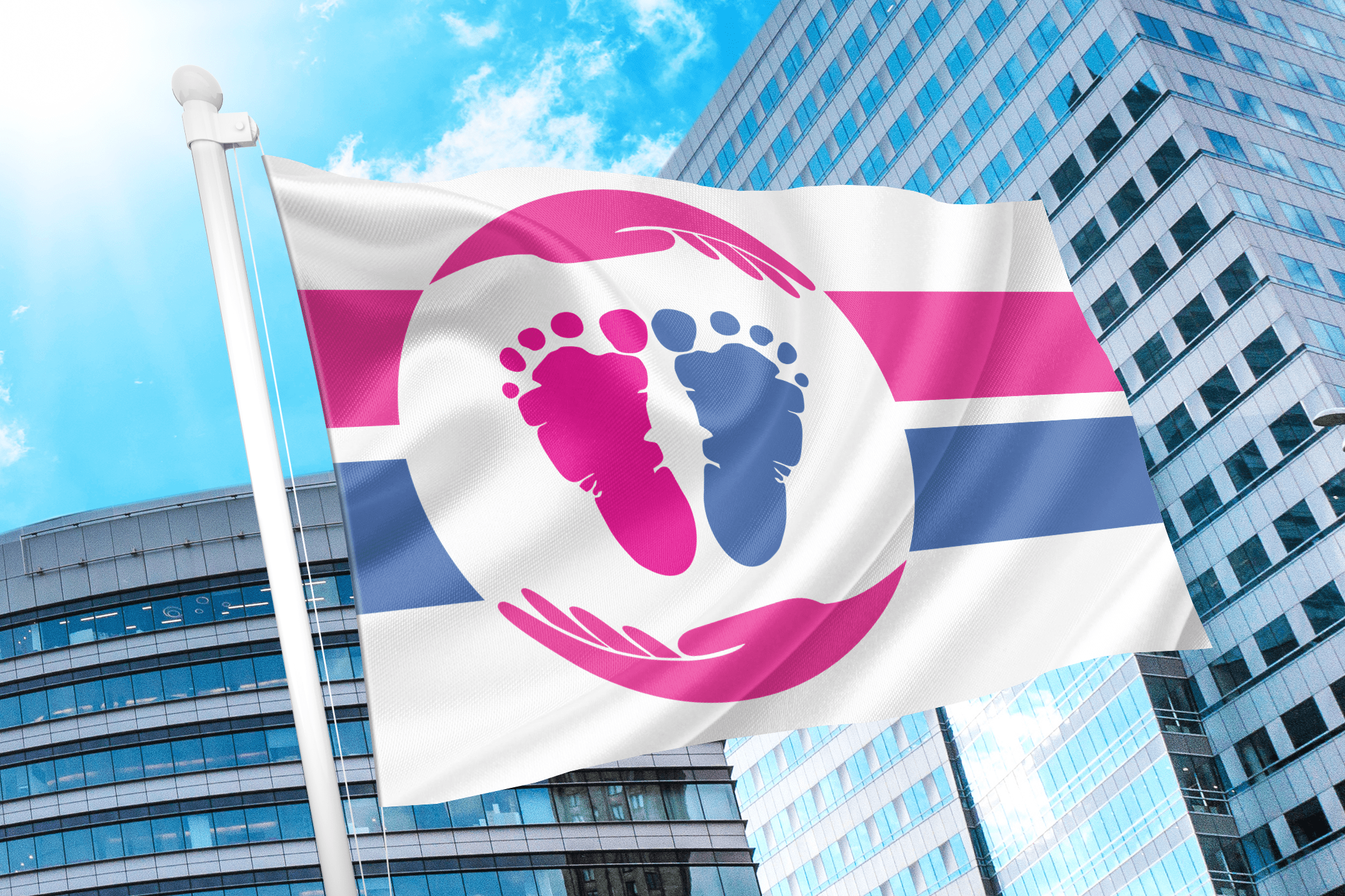 Pro-Life Flag Project