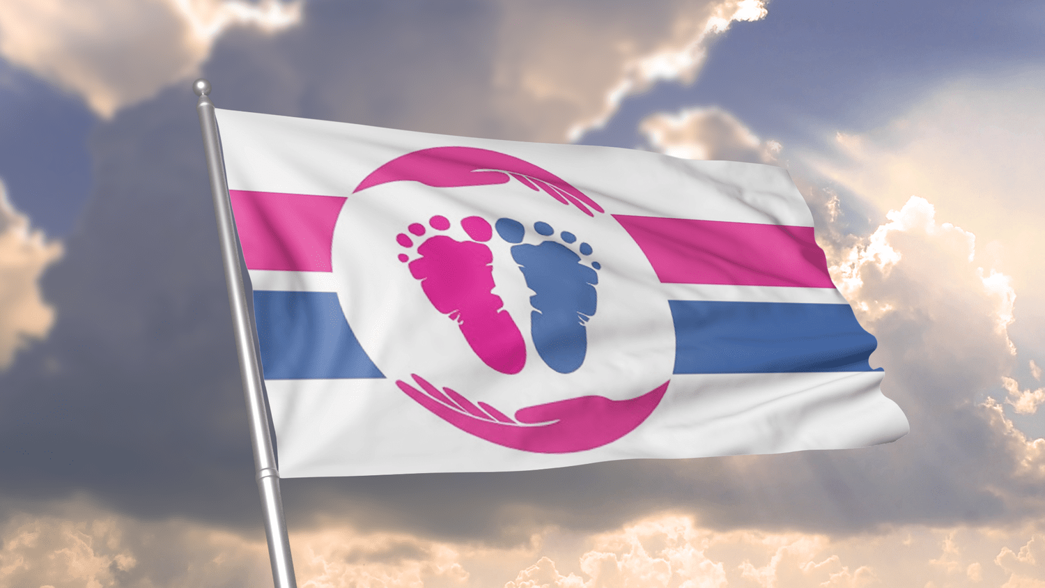 The Flag — Pro-Life Flag Project