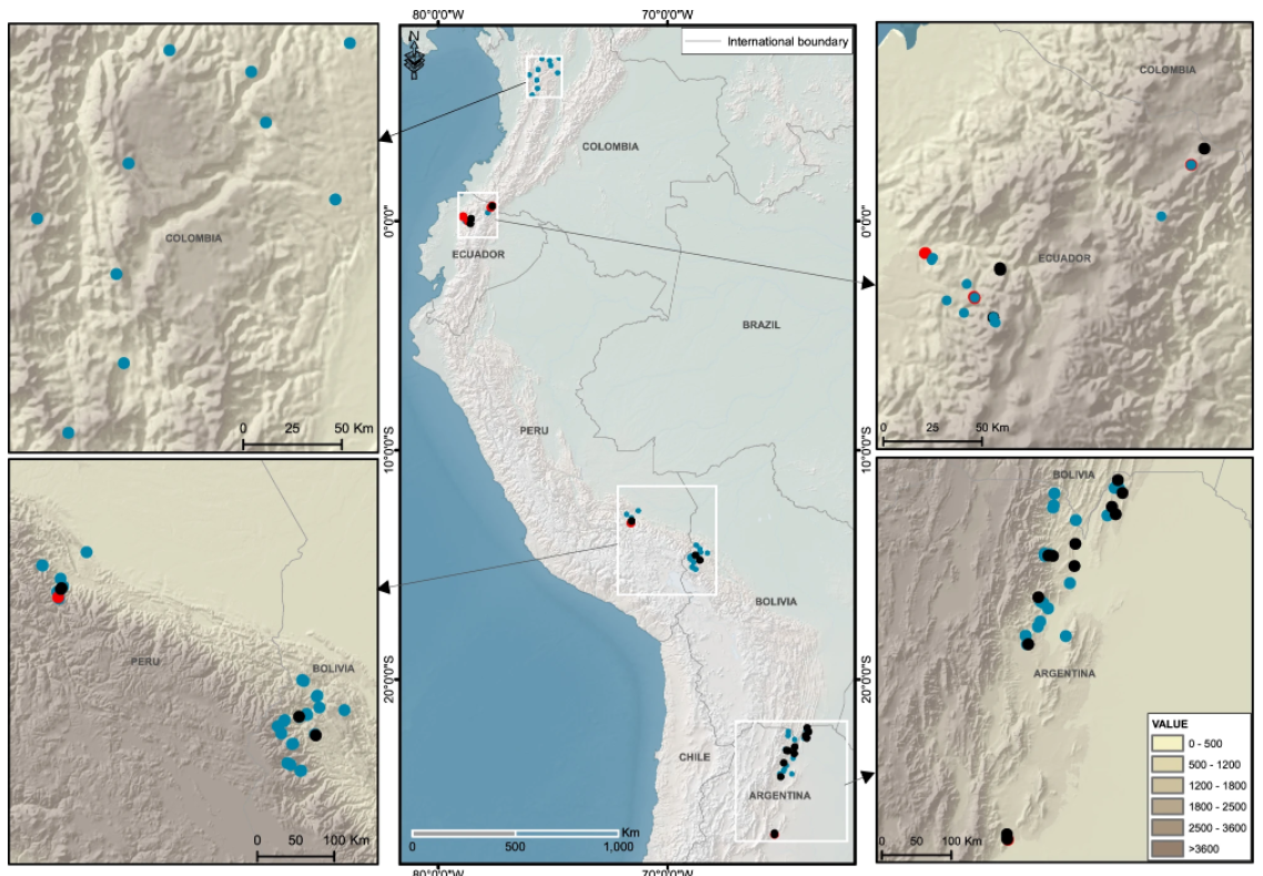 The Andean forests, the “hottest hotspot” of biodiversity — Planet A
