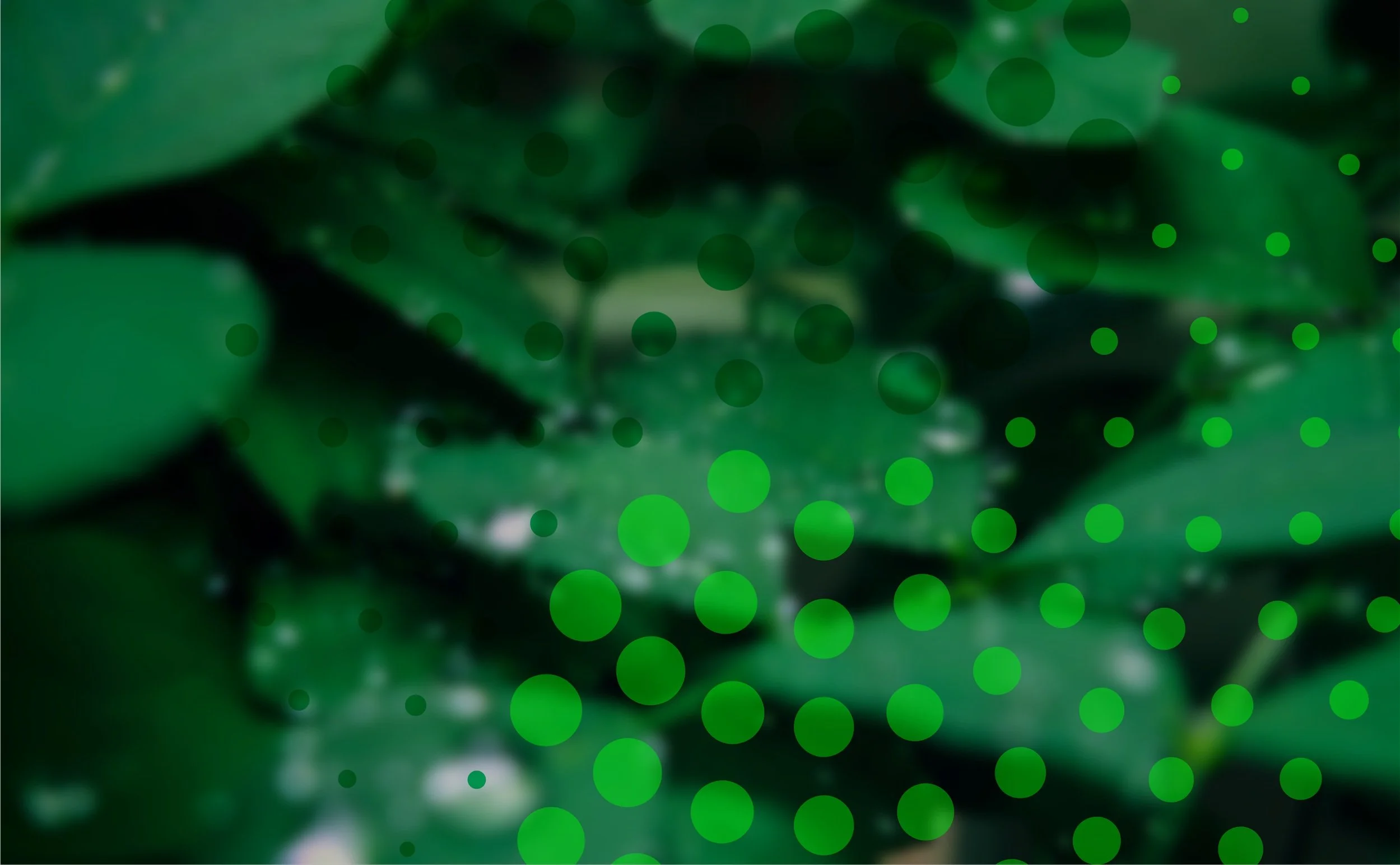 SEPPURE Technologies