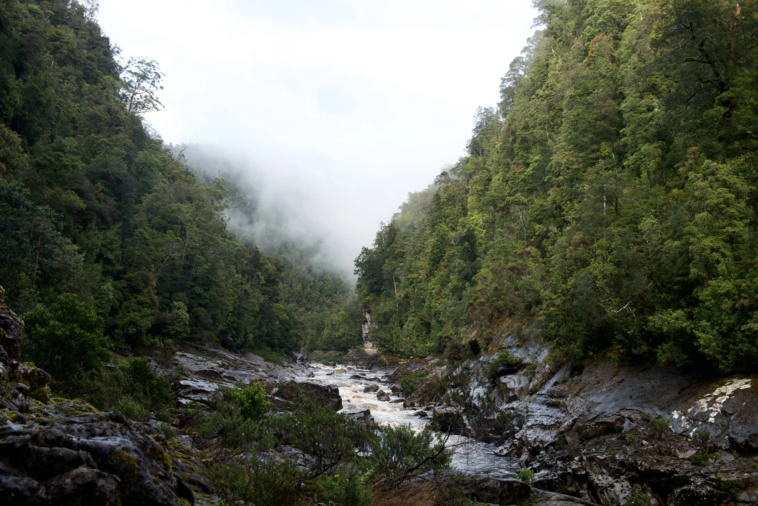 FRANKLIN - feature documentary