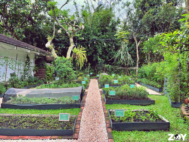 Farmer's Table (Tagaytay City): Serving Farm-to-Table Goodness — Zoy To ...