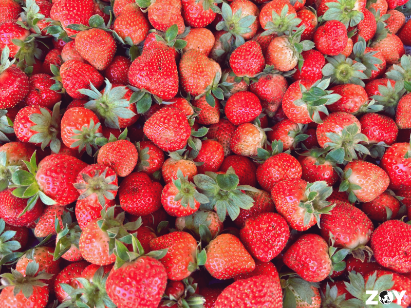 The Ultimate Baguio City Food Guide: Restaurant, Cafes, and Other Food ...