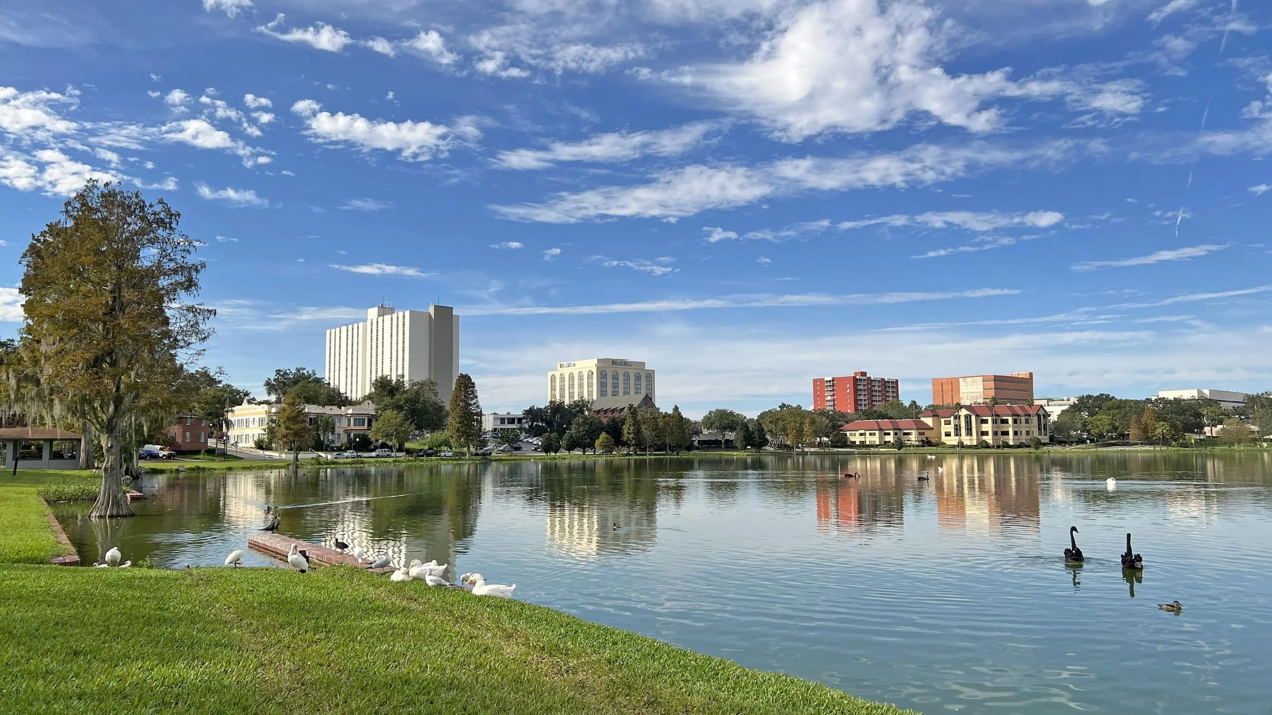 Painter Near Me - Top Rated Painter in Lakeland, FL- Top Rated Local ...