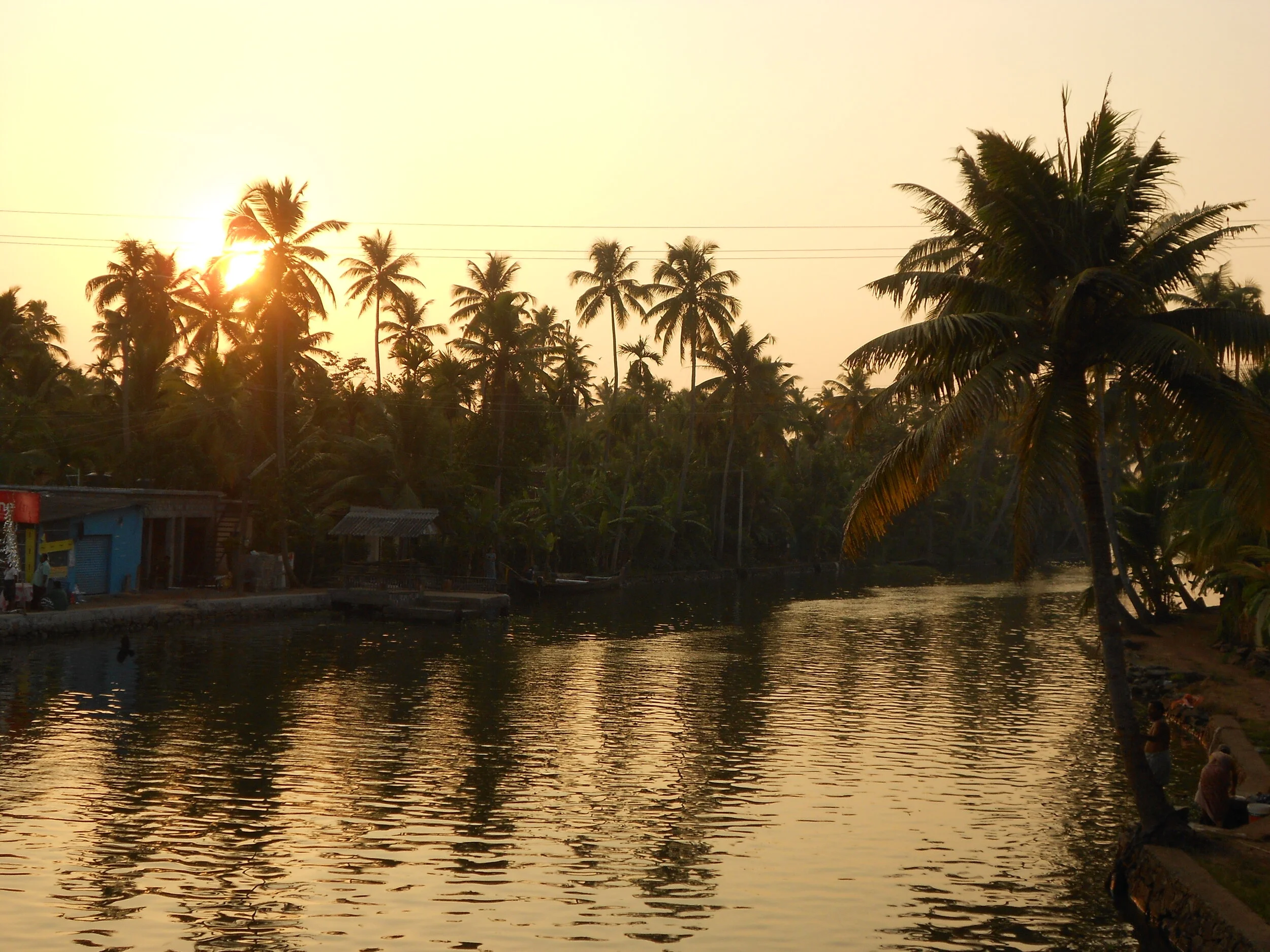 The Backwaters — The Chakkar