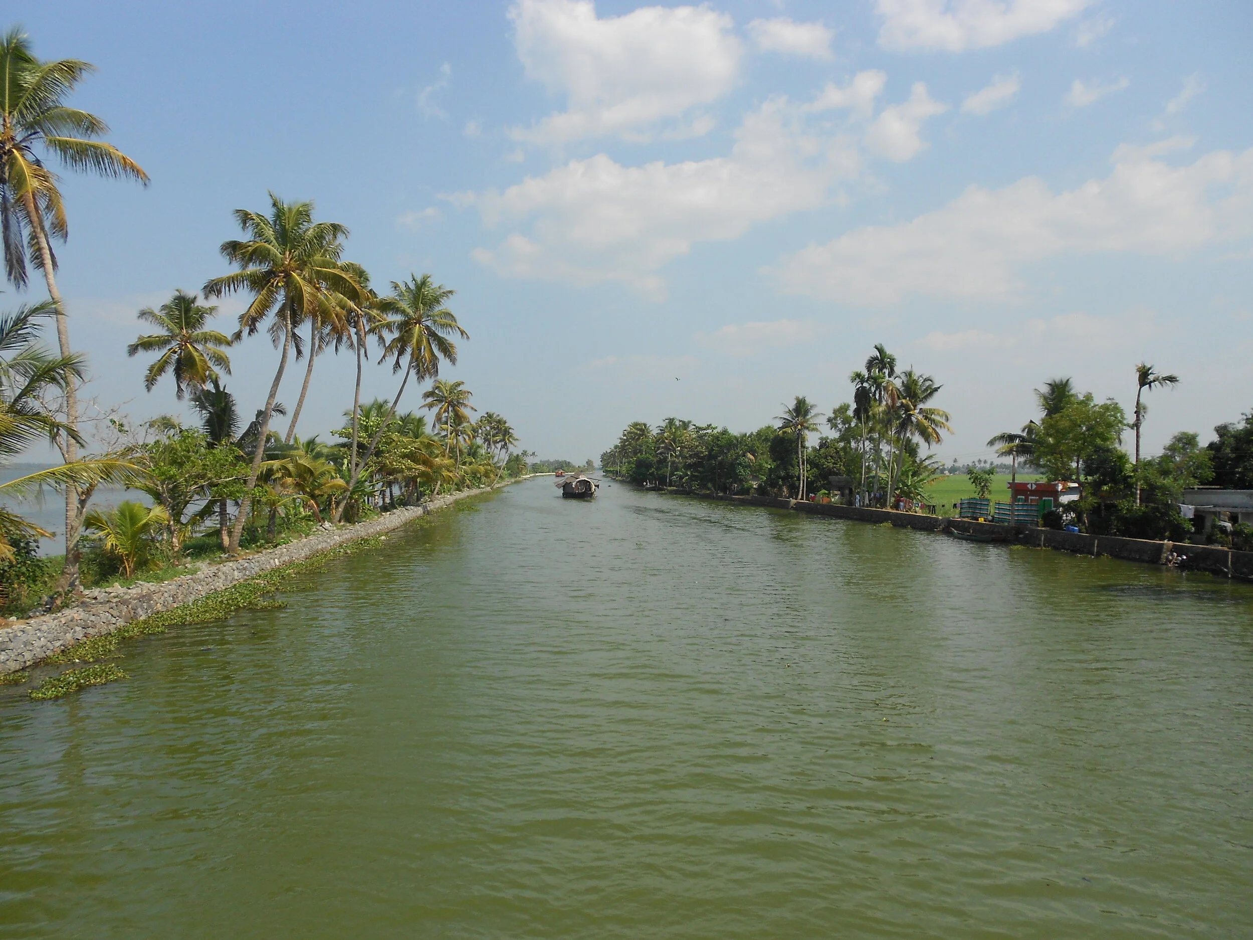 The Backwaters — The Chakkar