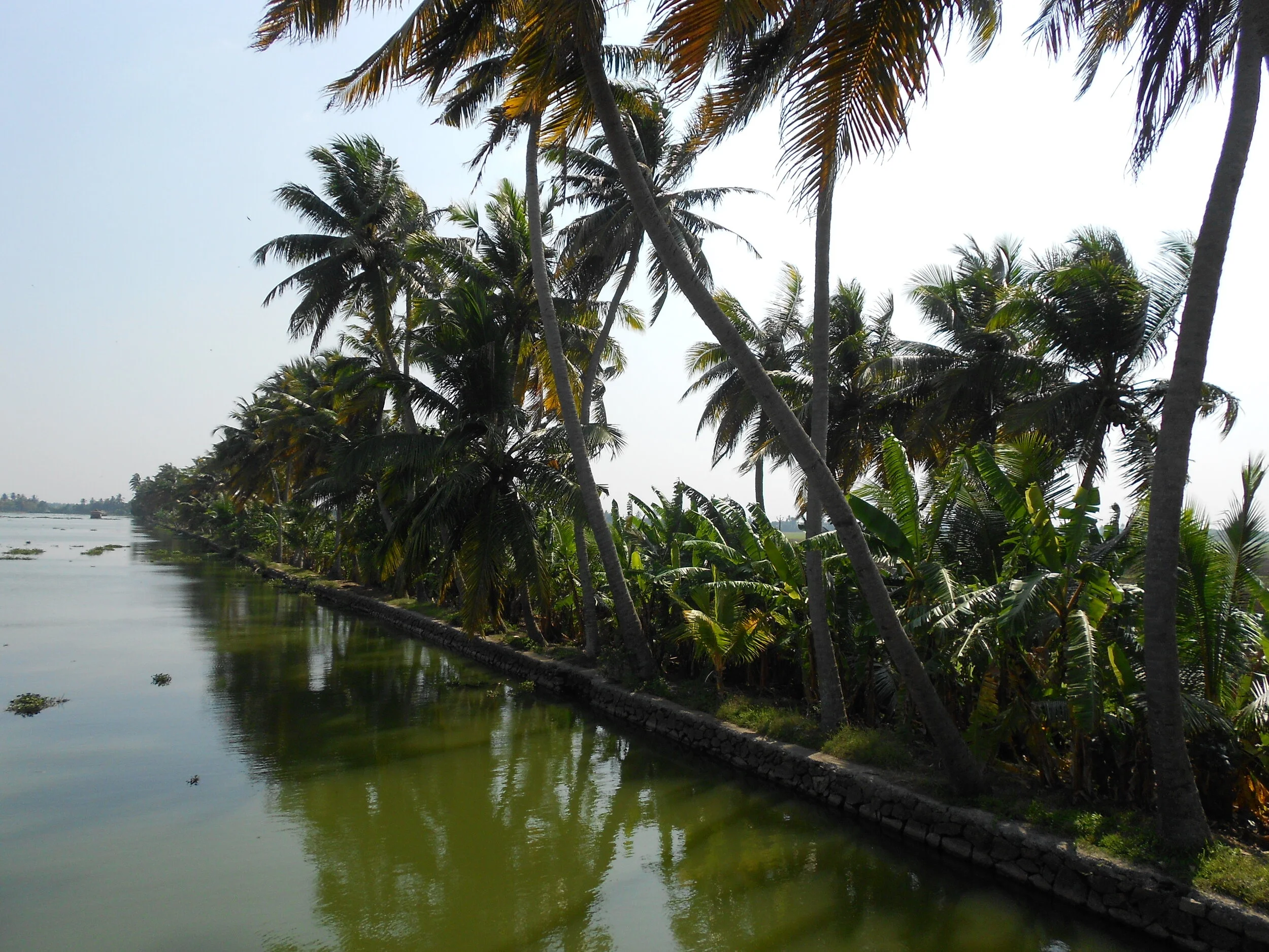 The Backwaters — The Chakkar