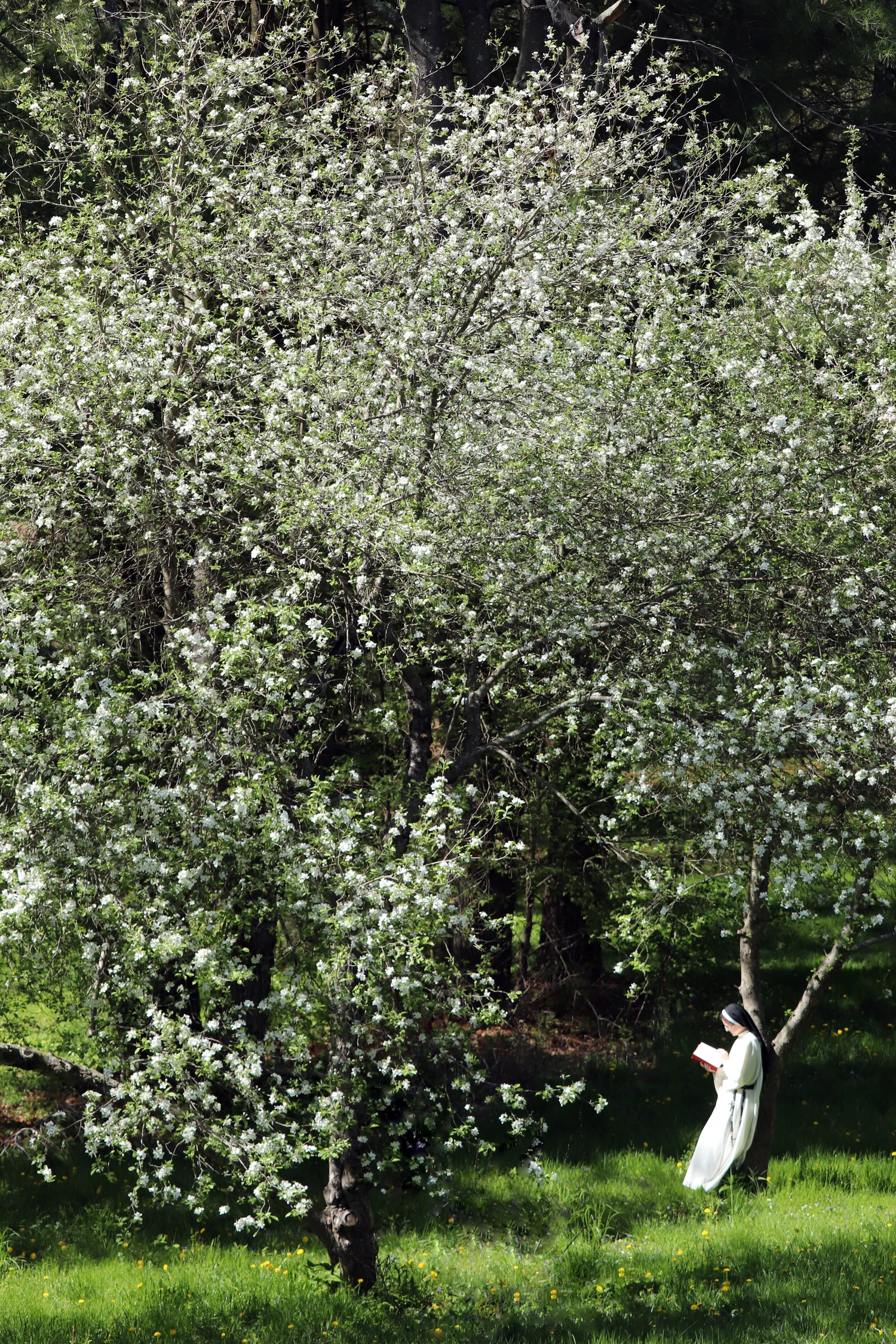 Contemplative Life — Monastery of Our Lady of Grace