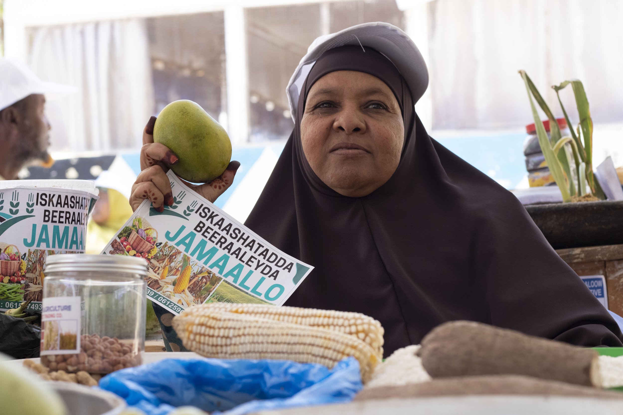 IGNITE Food Systems Challenge Somalia — Response Innovation Lab IGNITE Food Systems Challenge Somalia — Response Innovation Lab