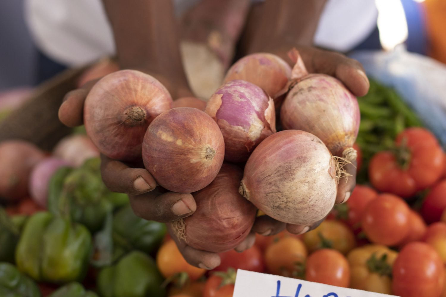 IGNITE Food Systems Challenge Somalia — Response Innovation Lab IGNITE Food Systems Challenge Somalia — Response Innovation Lab