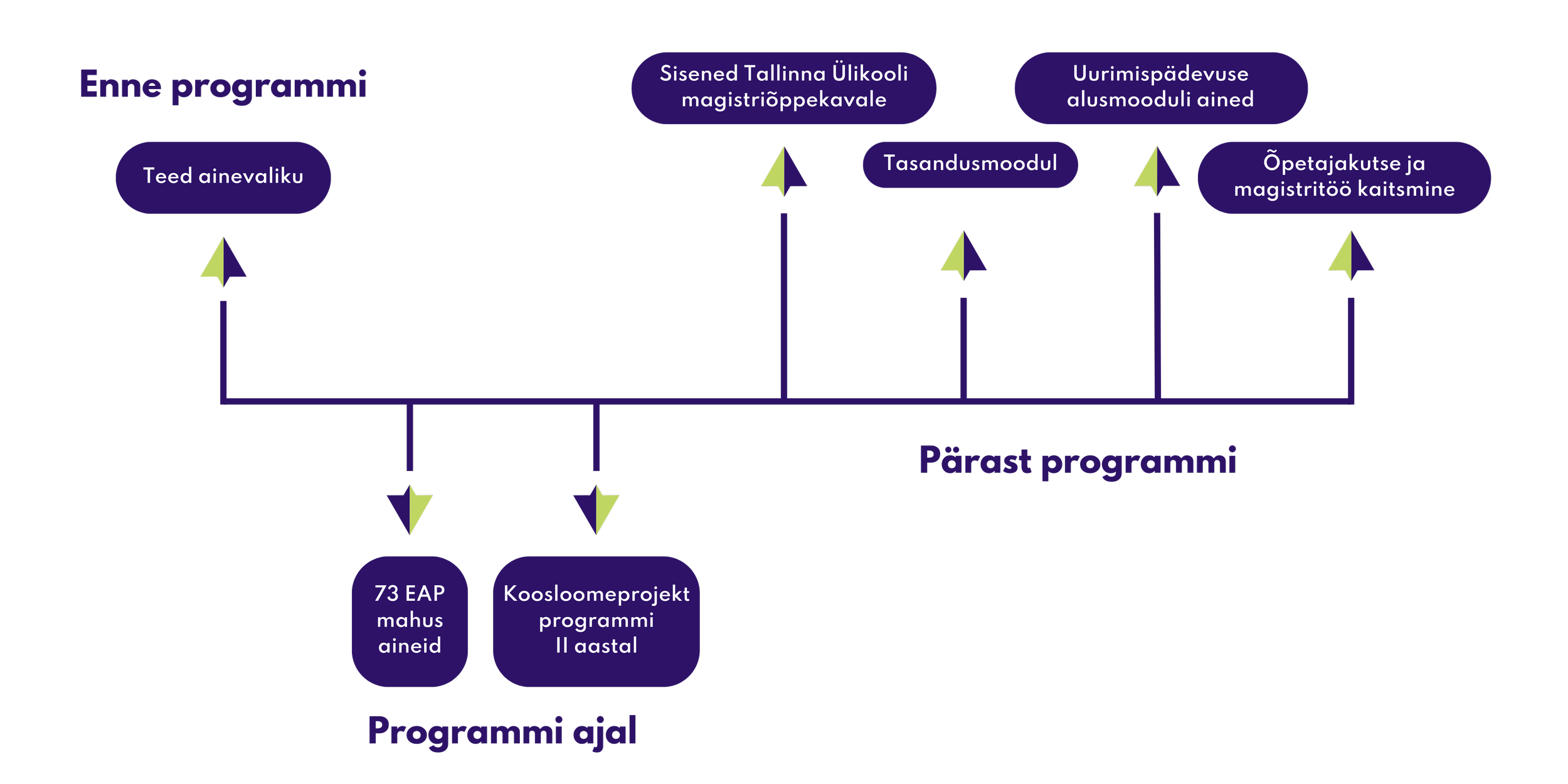 Magistriprogramm — Noored Kooli