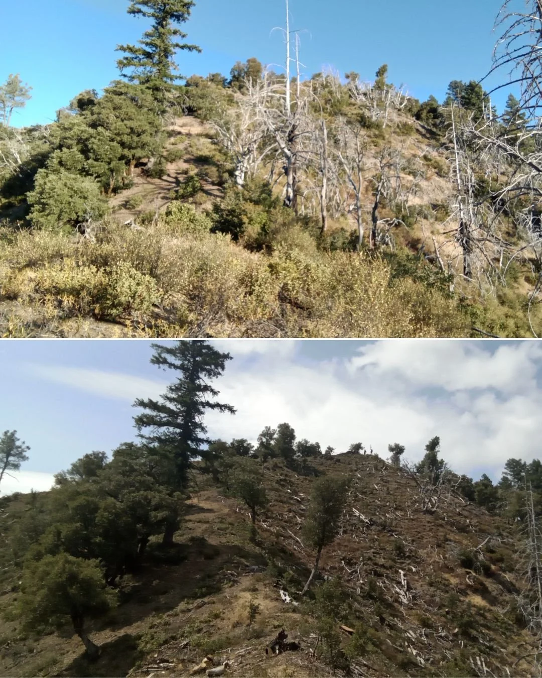 Fuels Crews Maintain Mad Ridge Fuel Break, Improve Community Safety ...