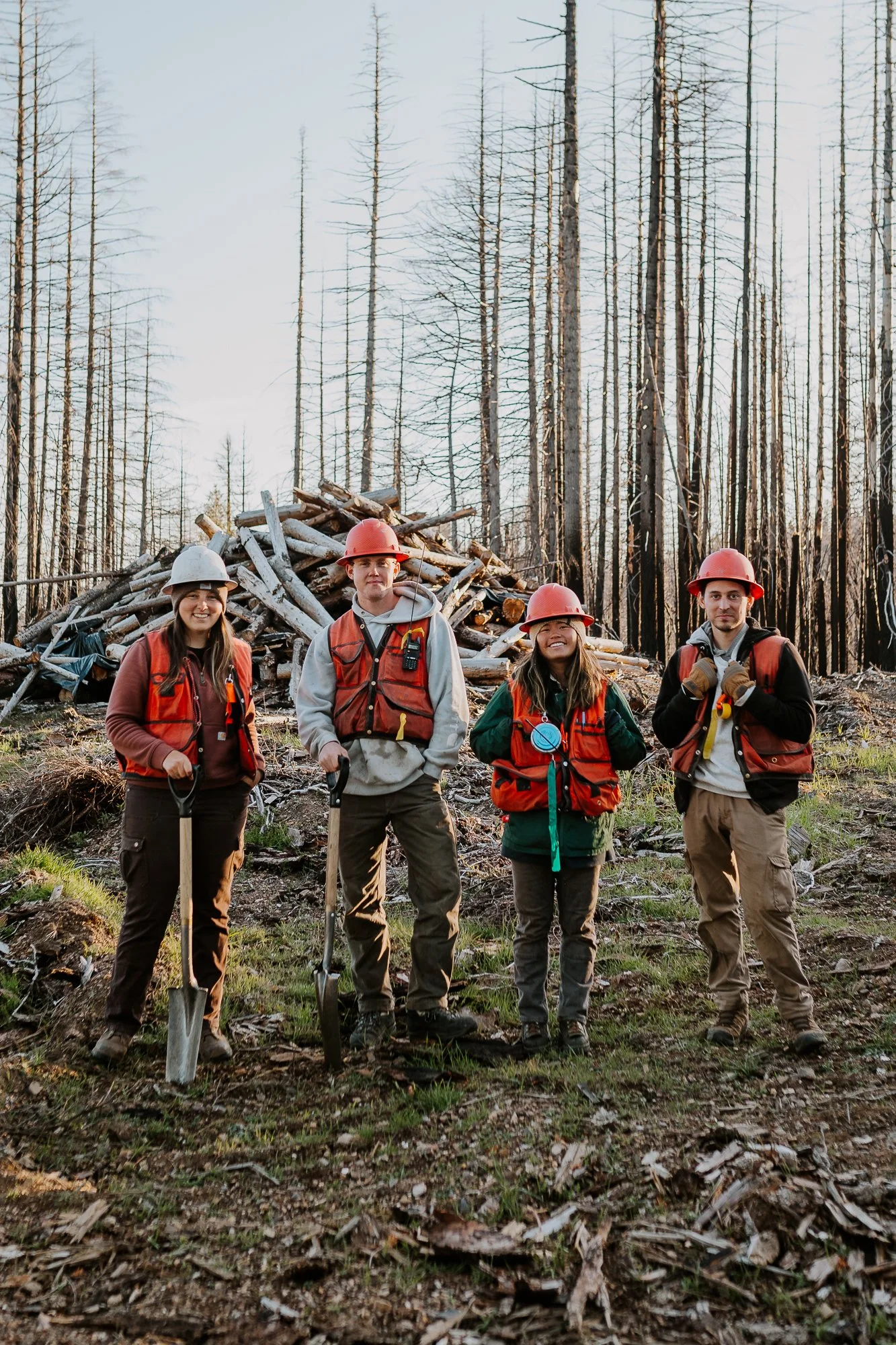 Forestry and Fuels Program — The Watershed Research & Training Center
