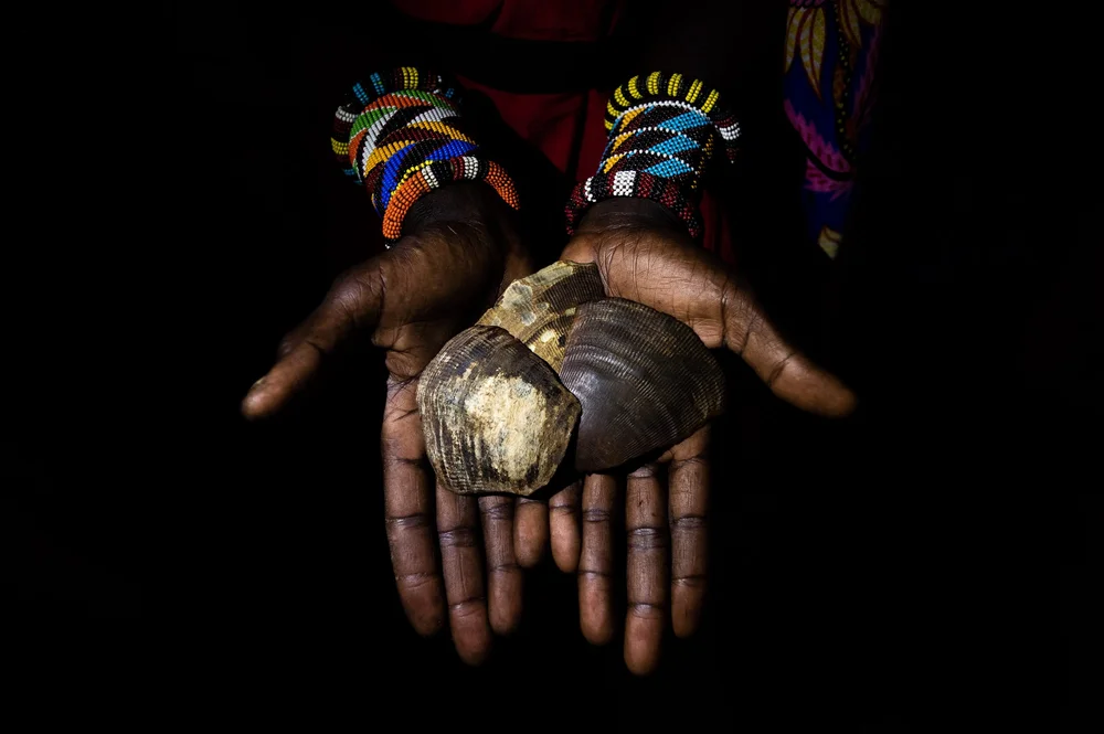 Why Pangolins Matter: Protecting the World's Most Endangered Mammal ...