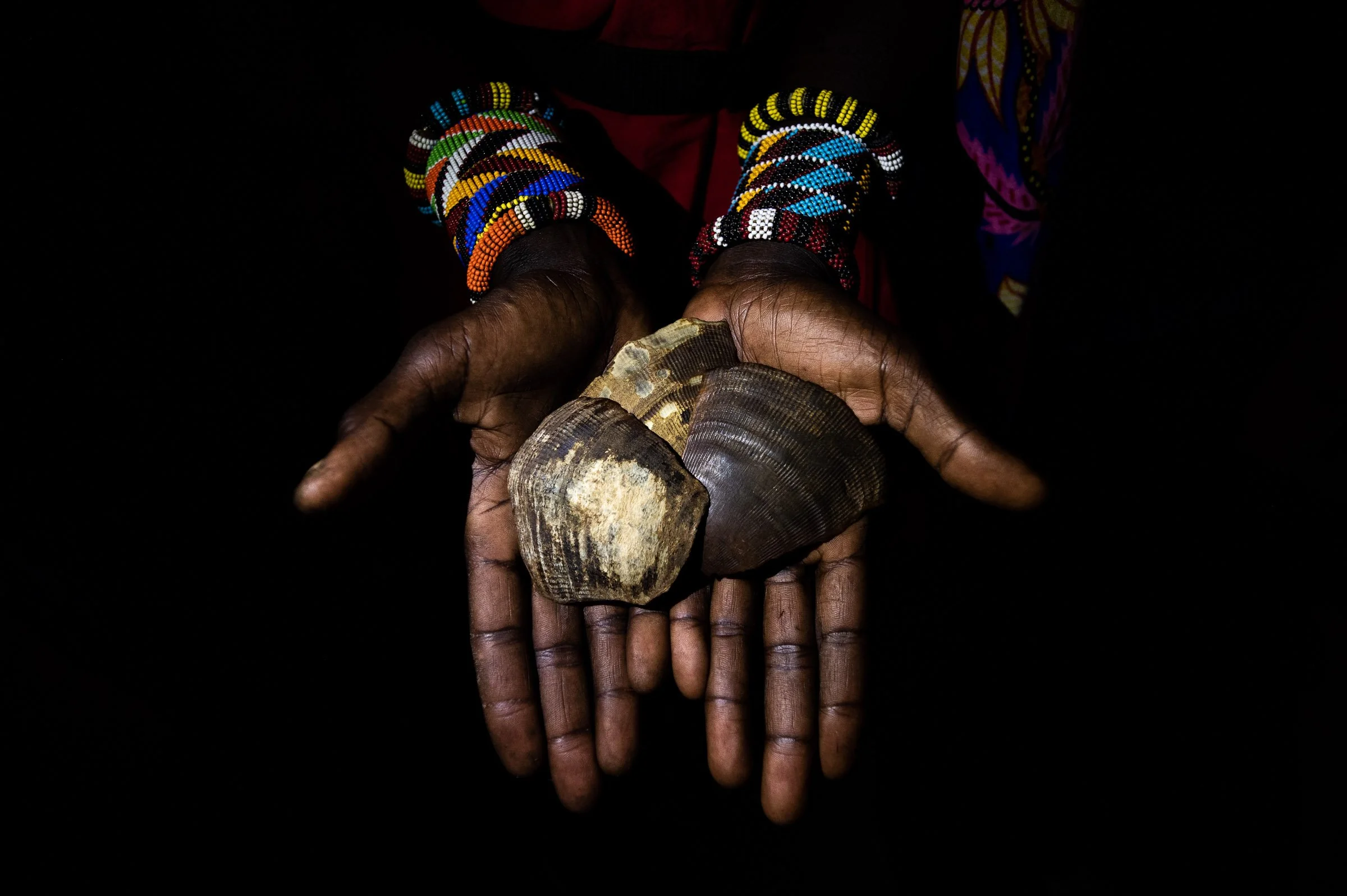 Why Pangolins Matter: Protecting the World's Most Endangered Mammal ...