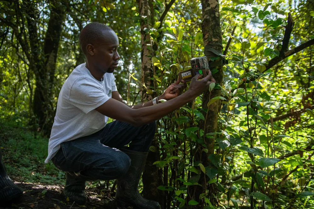 The Pangolin Project