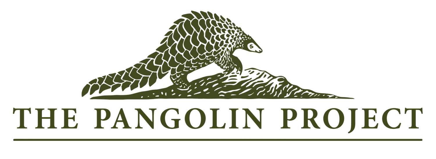 How Many Giant Pangolins Are Left? Lessons from Tagging, Technology ...