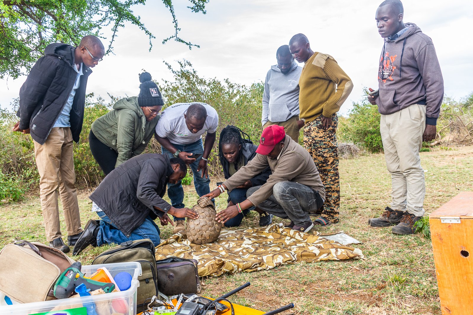 The Pangolin Project